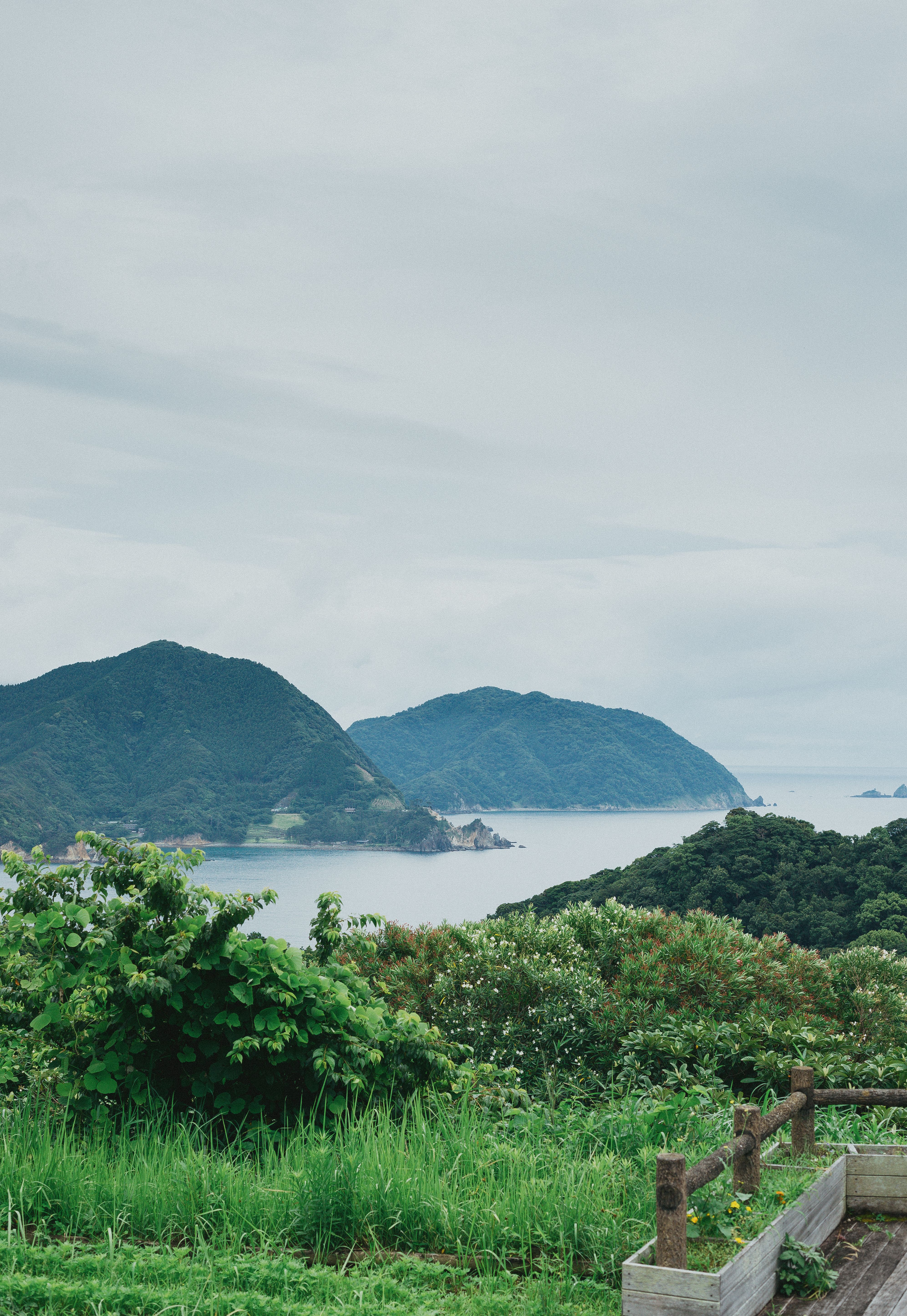 Scenic View of West Izu Coastline, Japan · Free Stock Photo