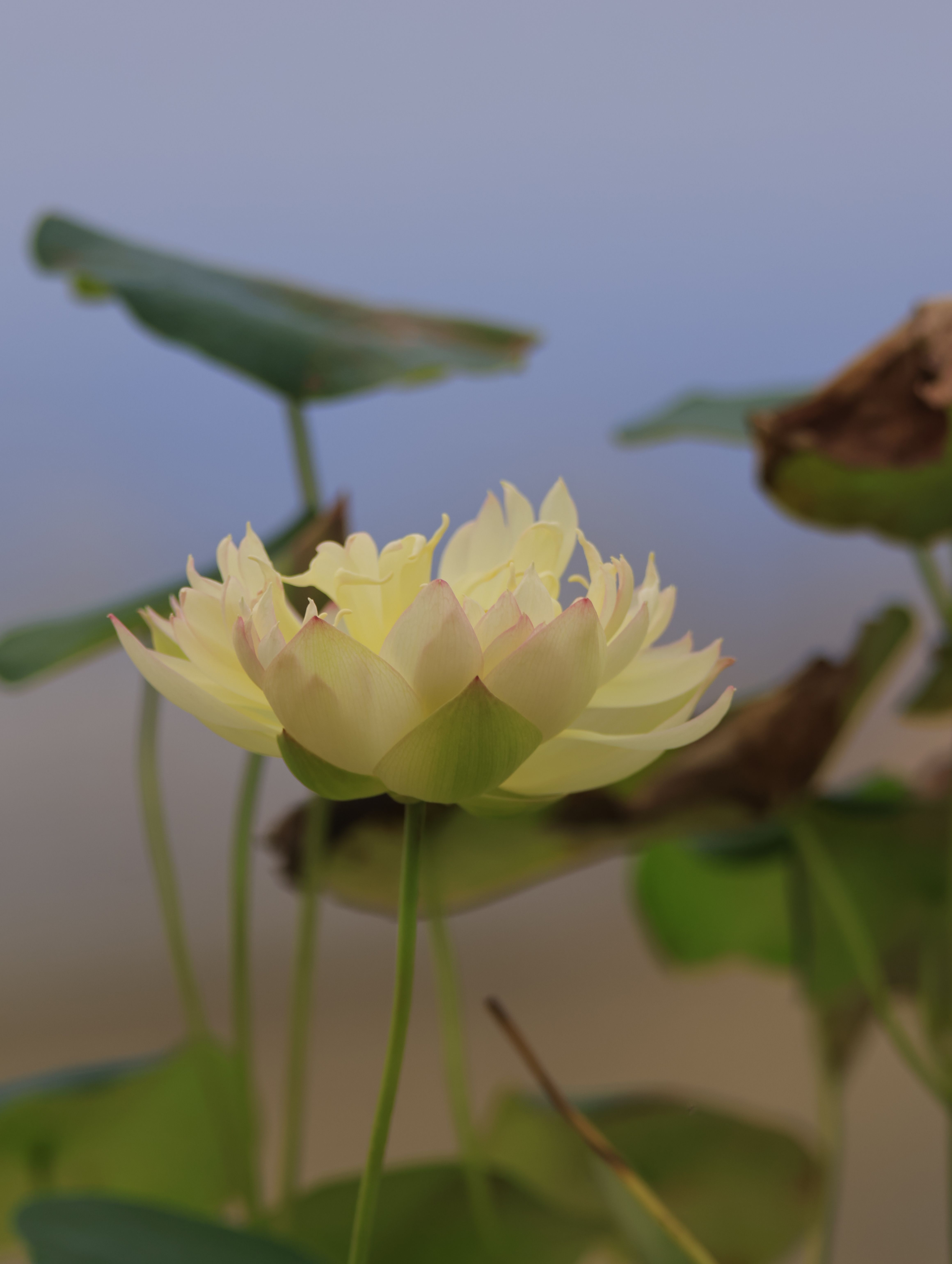 Calming Photos, Download The BEST Free Calming Stock Photos & HD Images