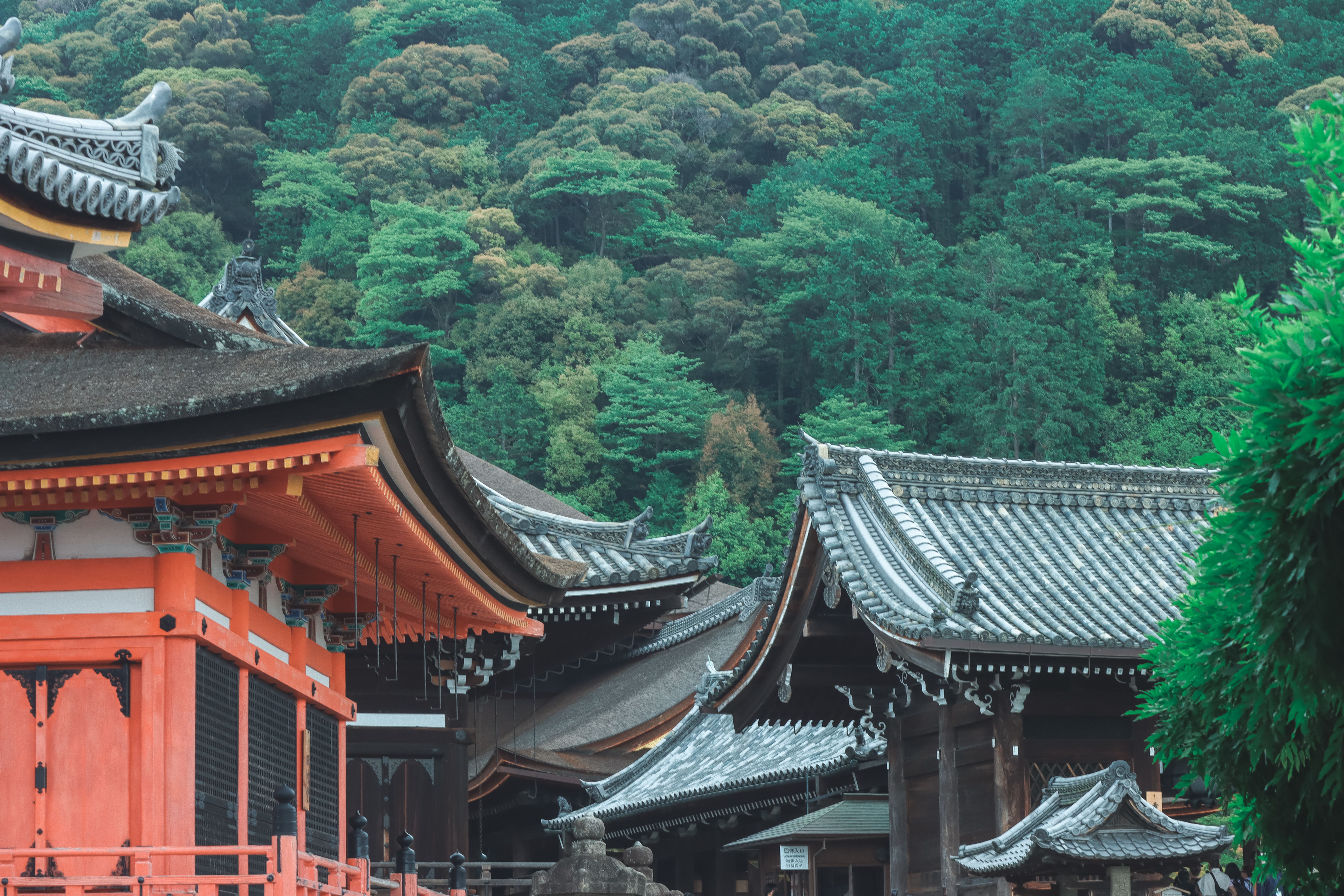 Traditional Japanese Temple in Verdant Forest · Free Stock Photo