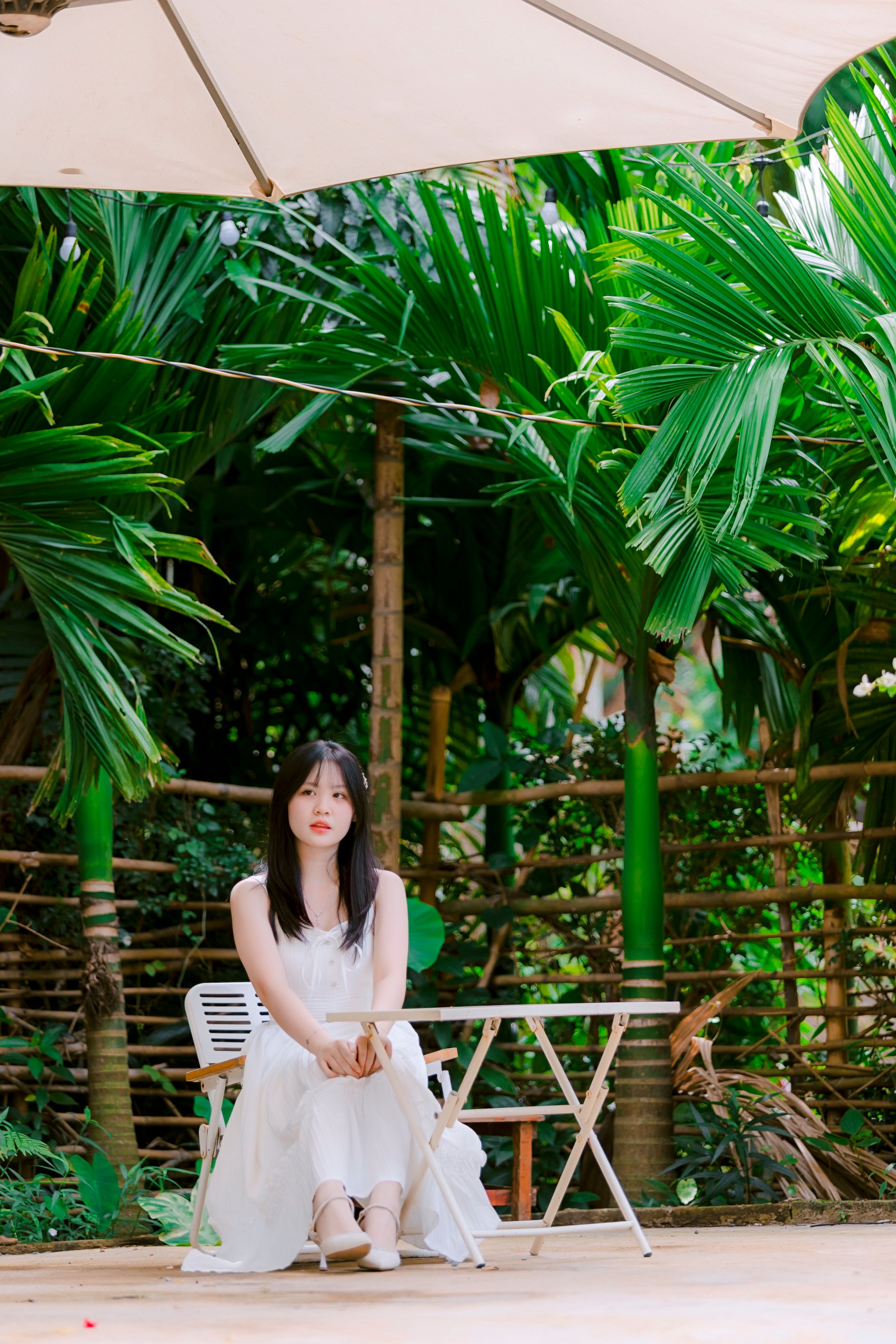 Vietnam Koira Photos Download The Best Free Vietnam Koira Stock Photos