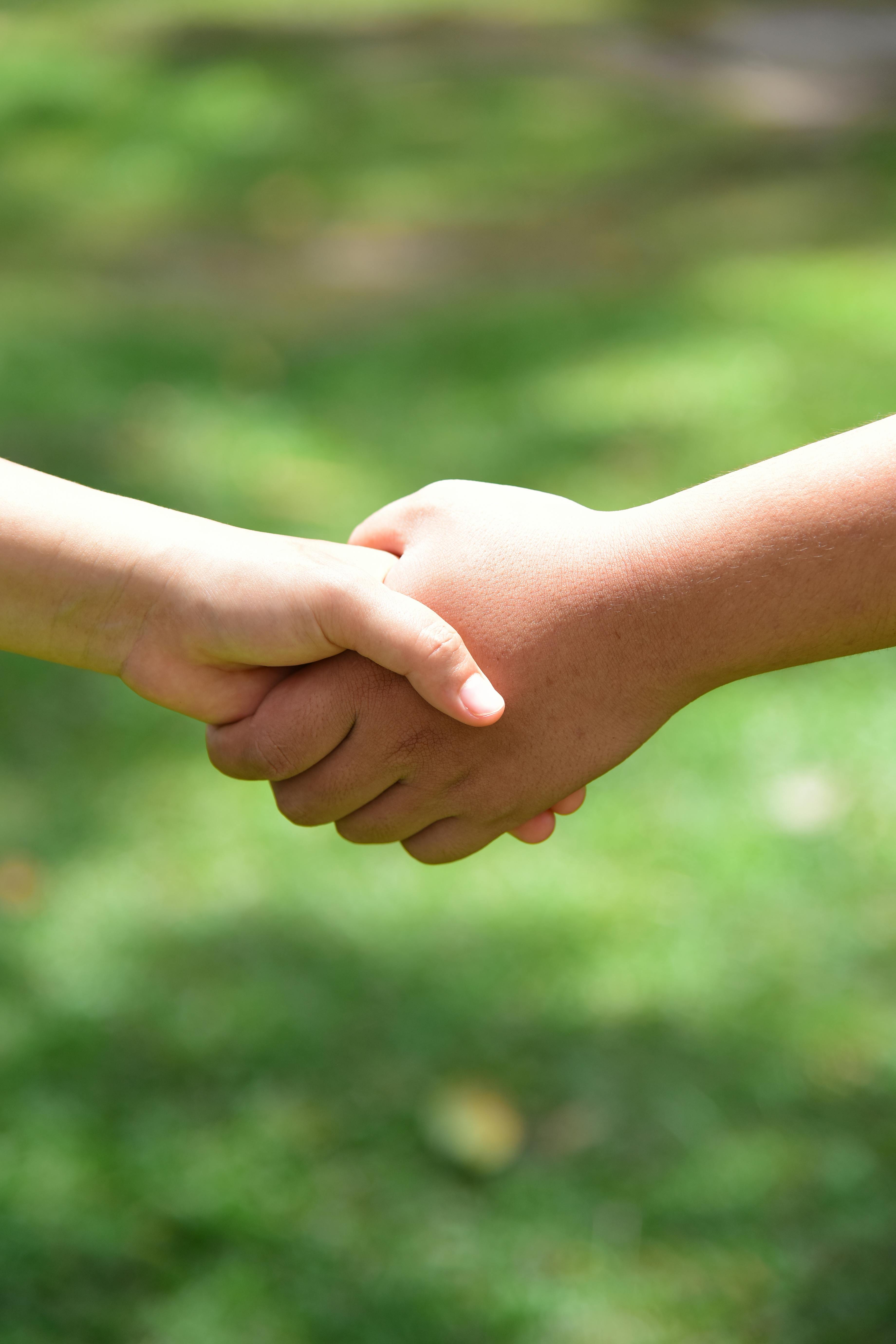 Shaking Hands Pics Photos, Download The BEST Free Shaking Hands Pics ...