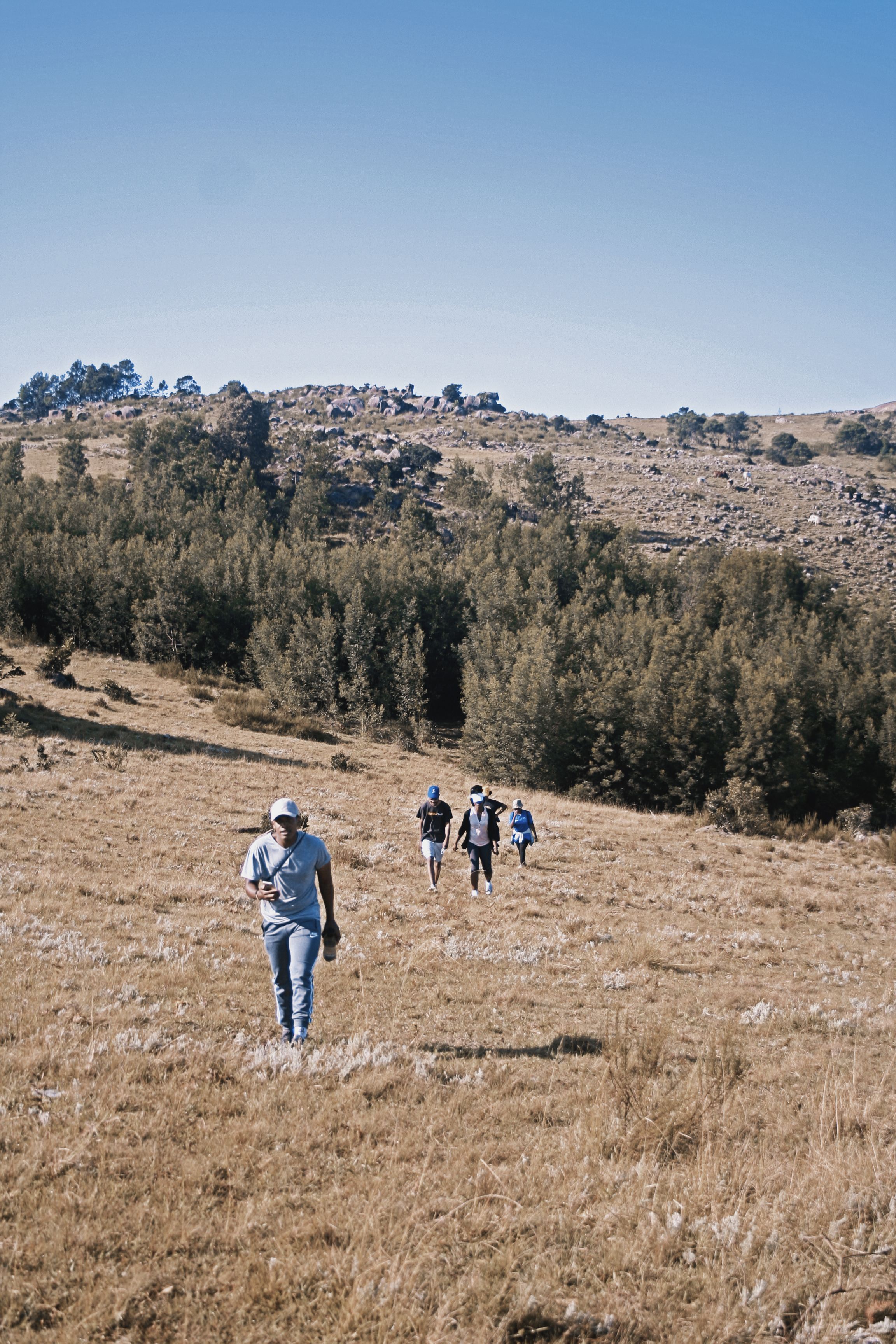 A group of people hiking up a hill · Free Stock Photo