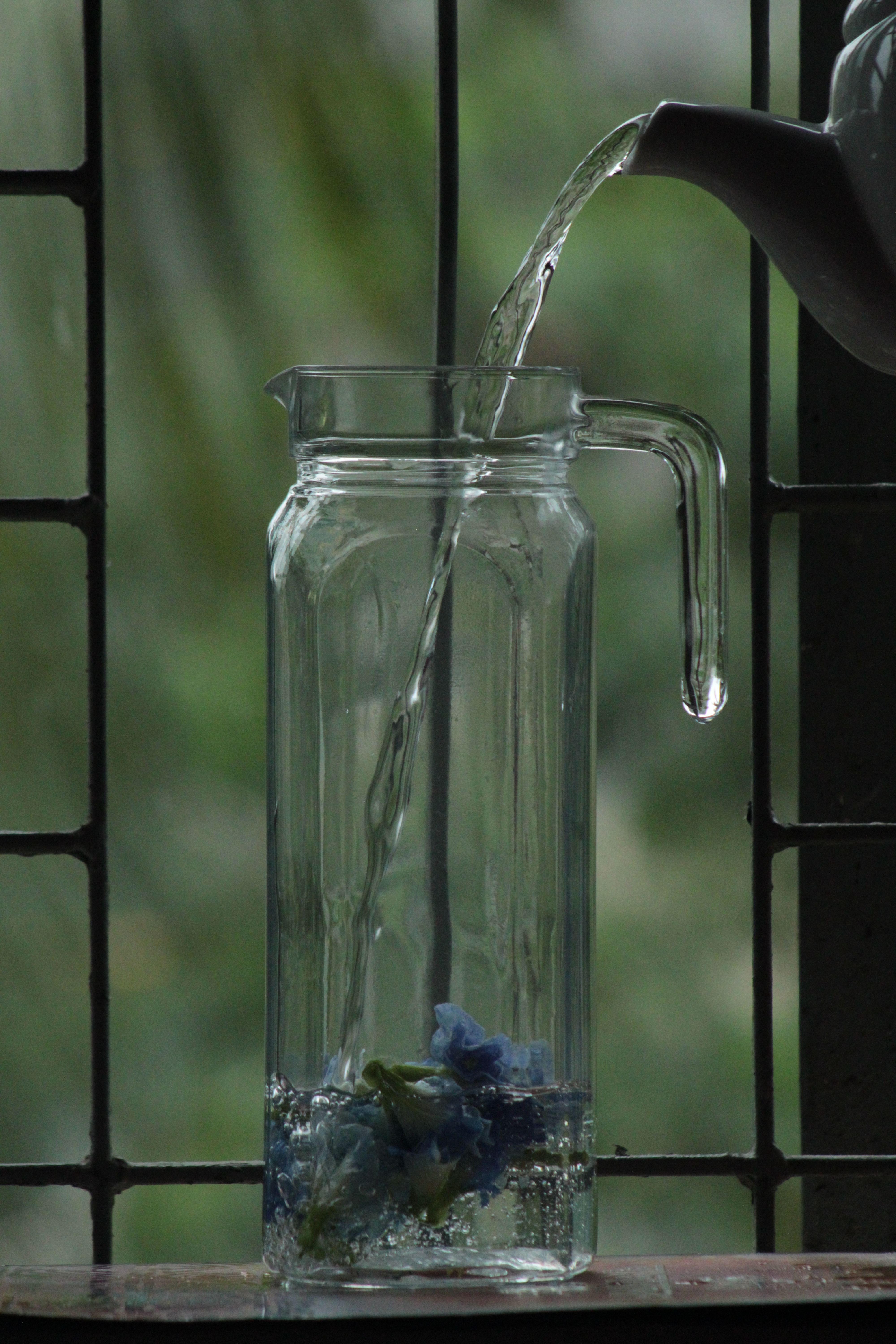 Pitcher Photos, Download The BEST Free Pitcher Stock Photos & HD Images