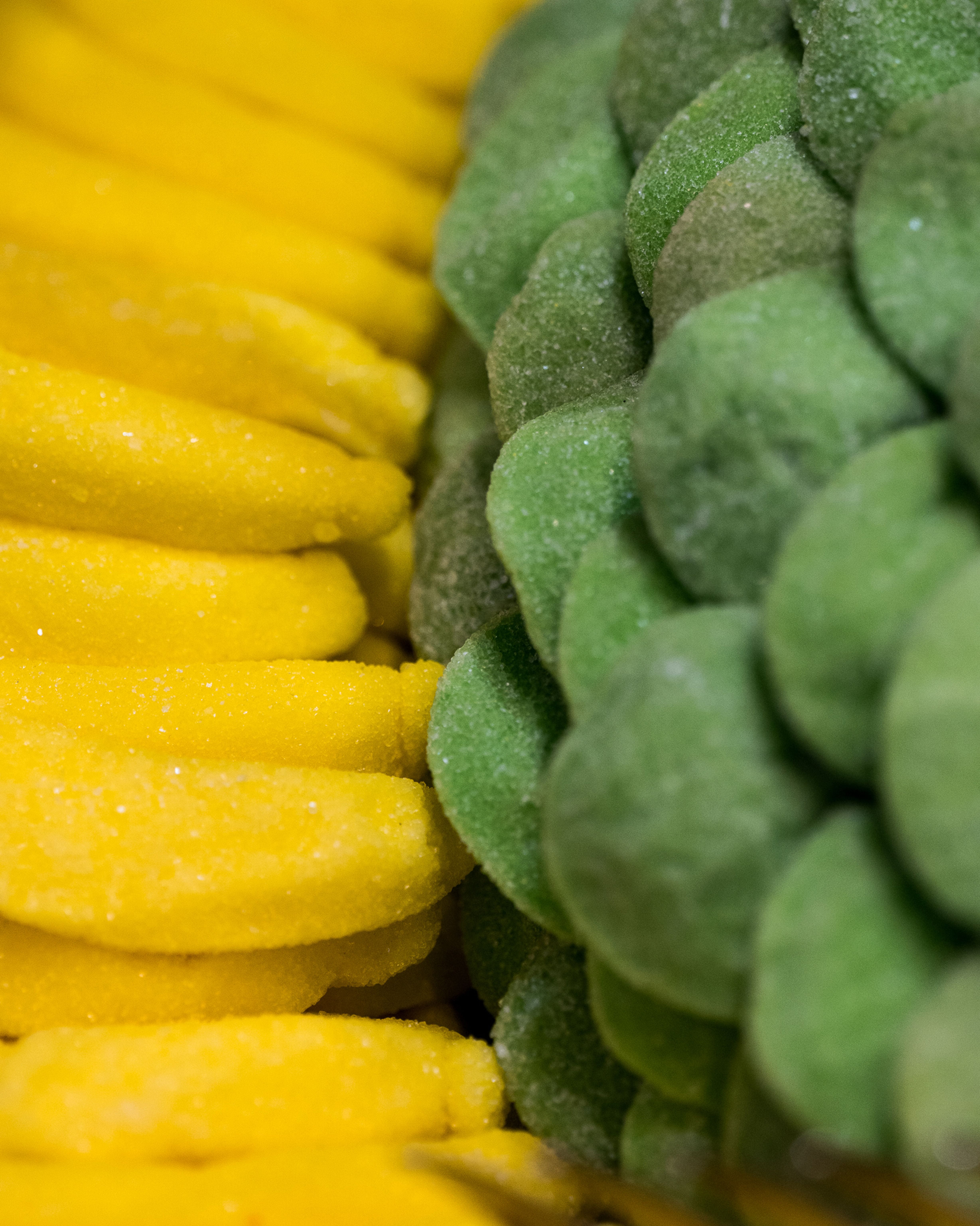 Close-up of Colorful Sugar-Coated Candies · Free Stock Photo