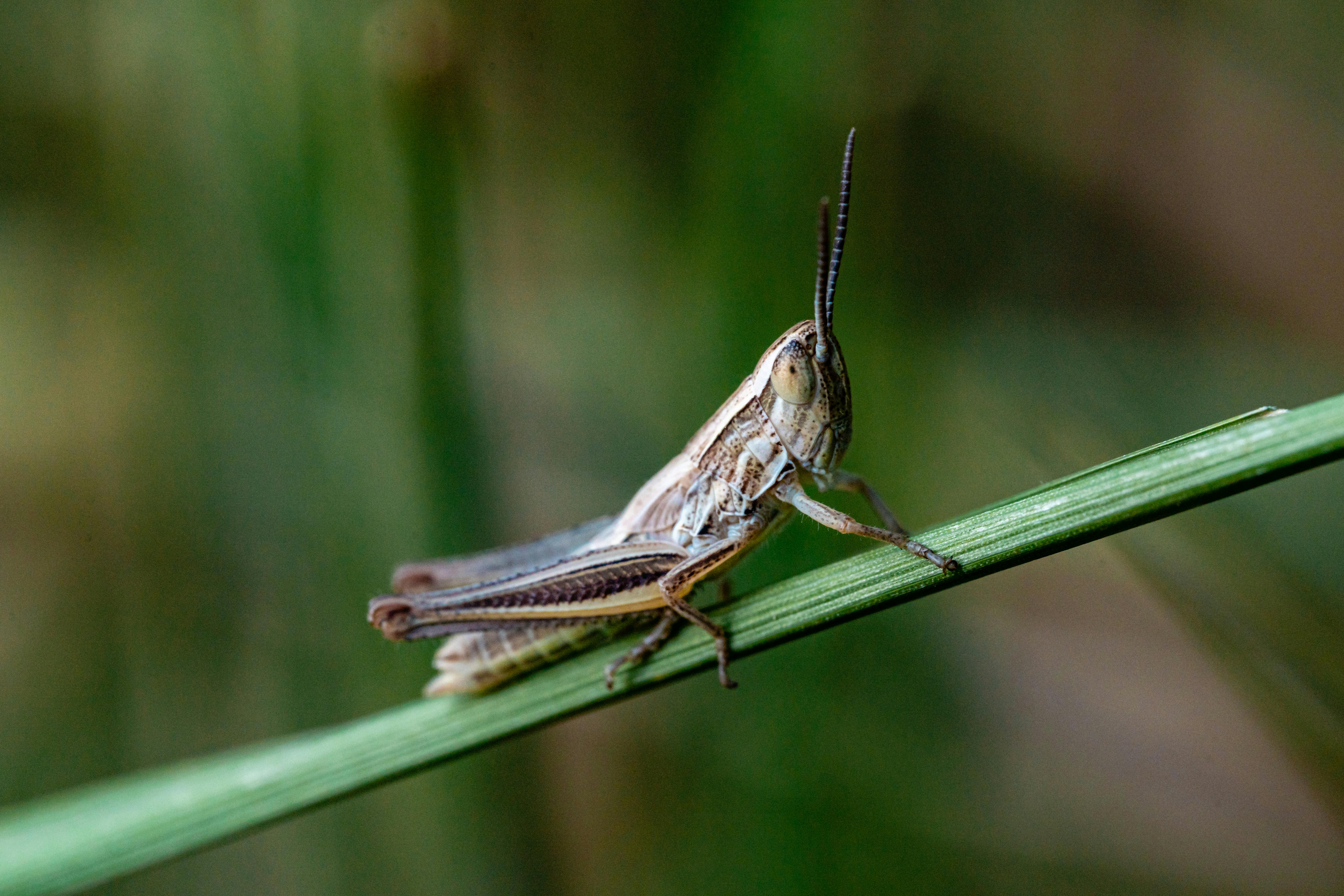 4k Horizontal Wallpapers Photos, Download The BEST Free 4k Horizontal ...