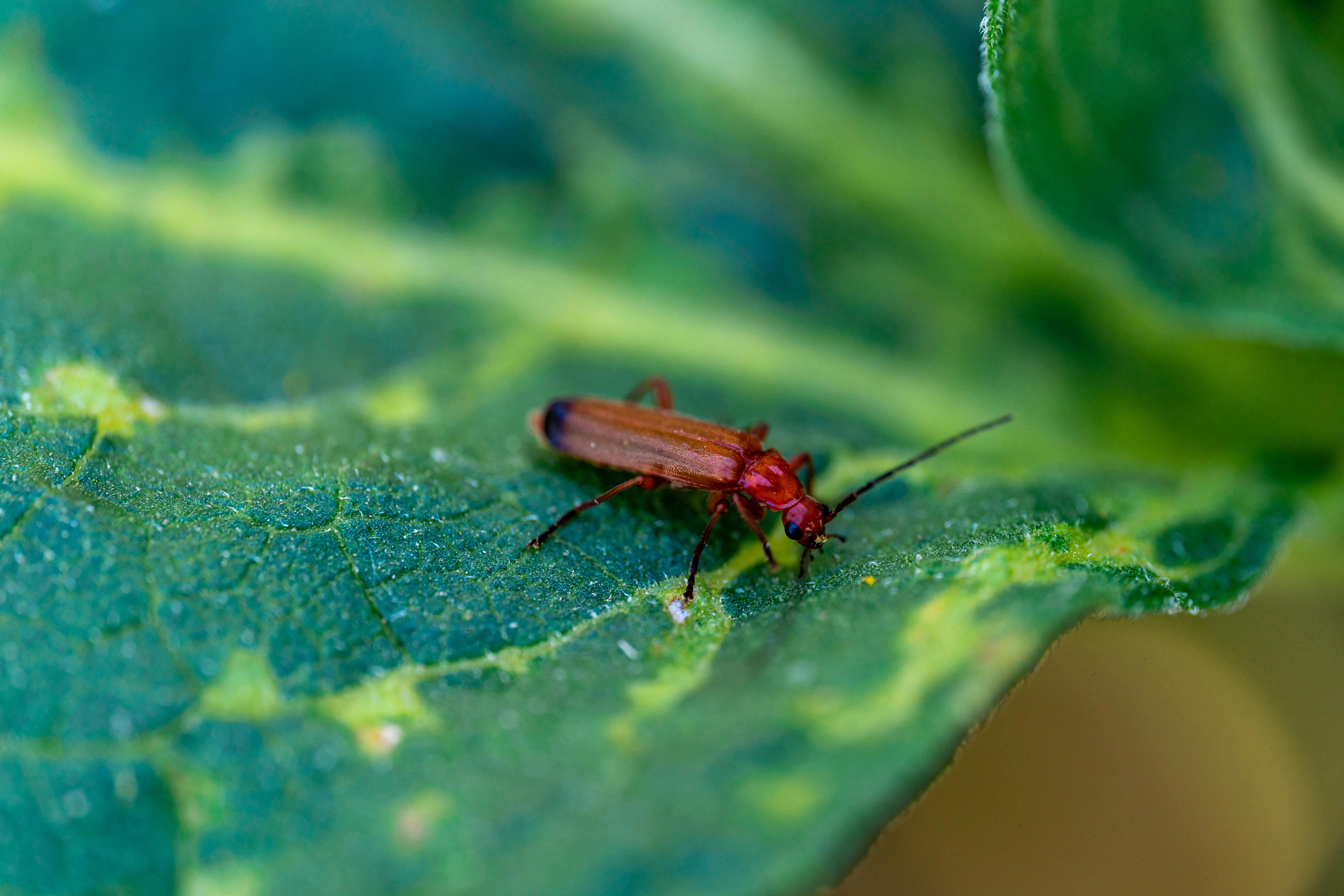 8k Wallpaper, Anime Photos, Download The BEST Free 8k Wallpaper, Anime ...