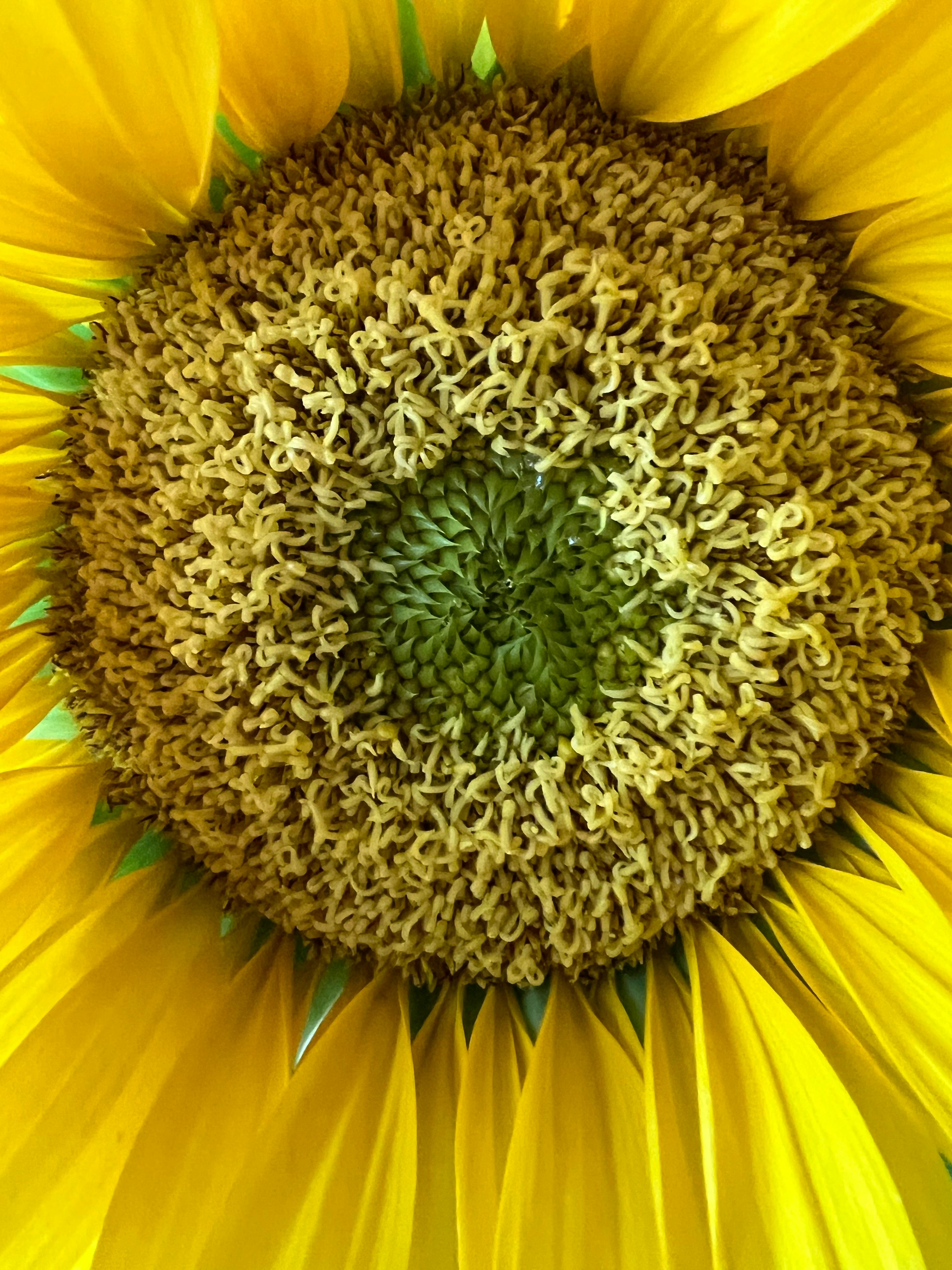 Sick Core Photos, Download The BEST Free Sick Core Stock Photos & HD Images