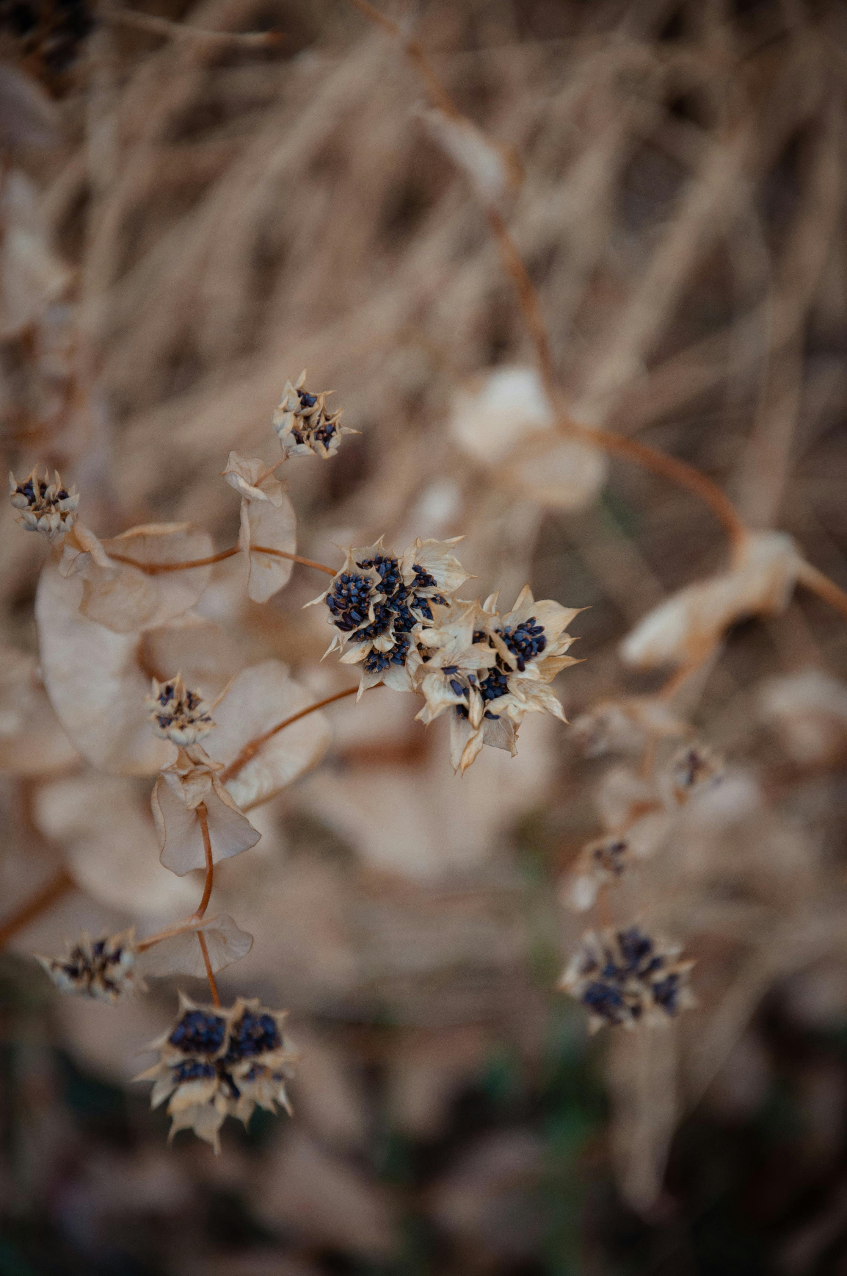 Calming Background For Studying Photos, Download The BEST Free Calming ...