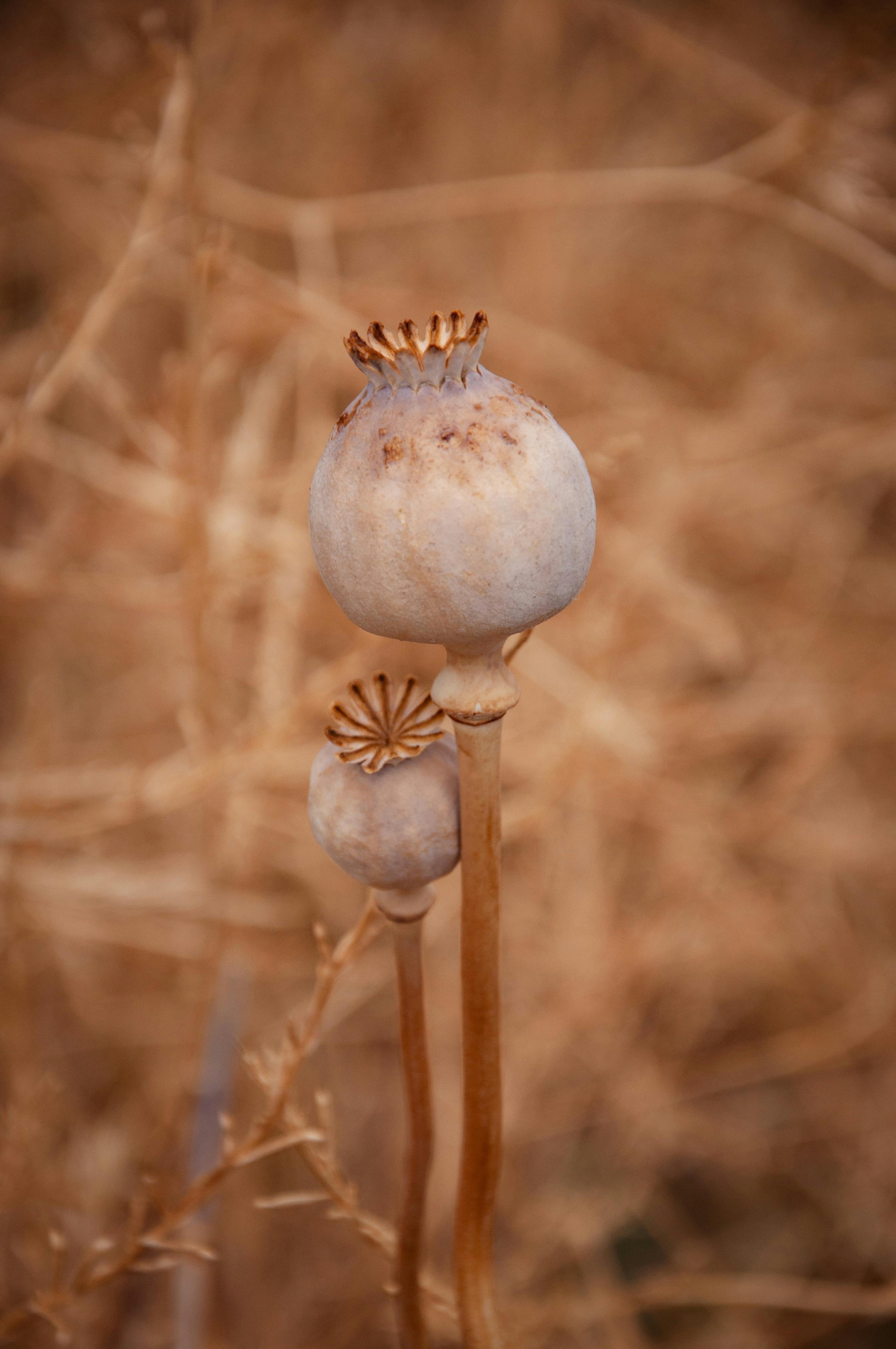 Little+Girl+Bikini+Back+View Photos, Download The BEST Free Little+Girl ...