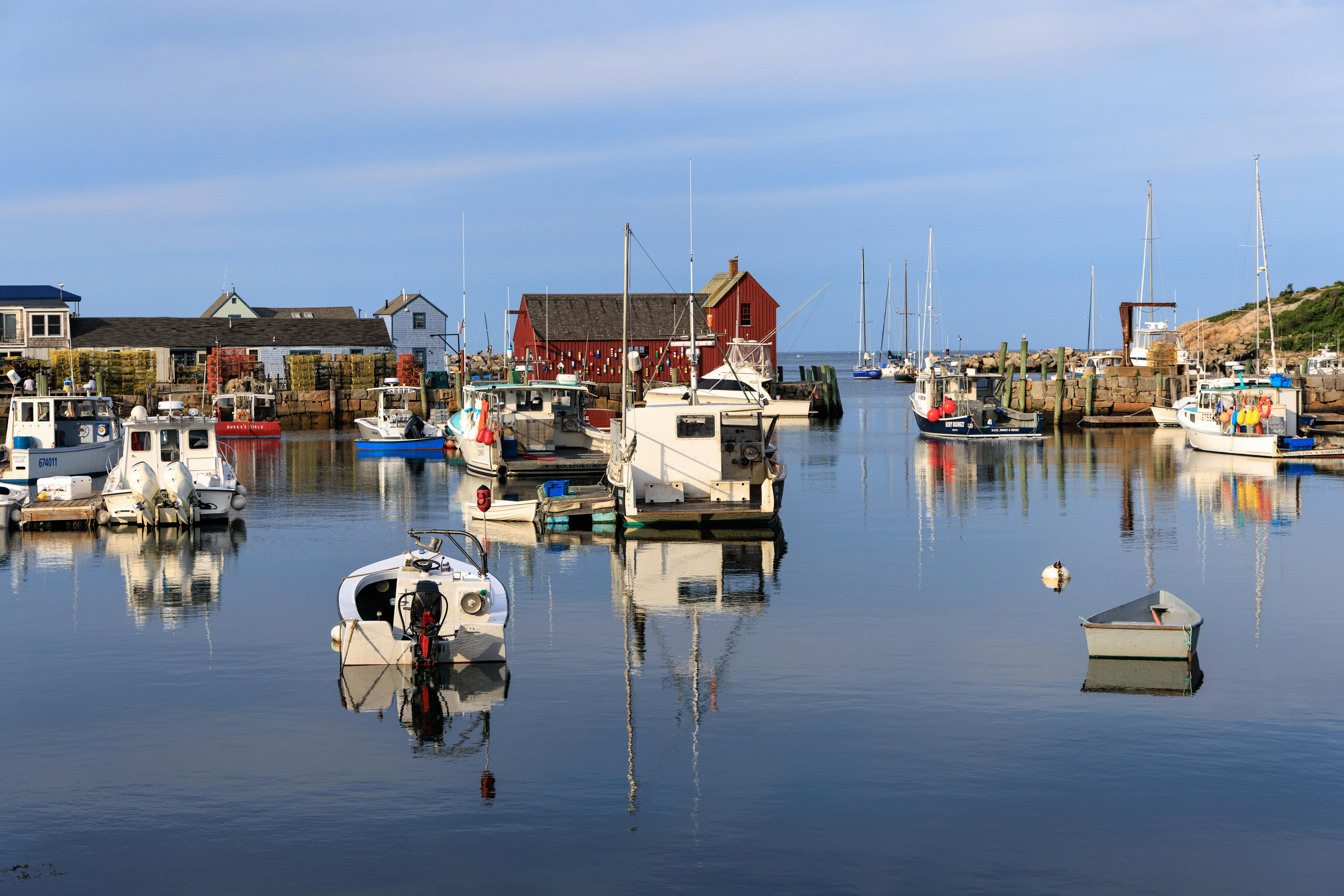 Googleybara Riding&Qs=N&Form=Qbirmh&Sp= 1&Lq=0&Pq=Capybara Ridi&Sc=10 13&Cvid ...