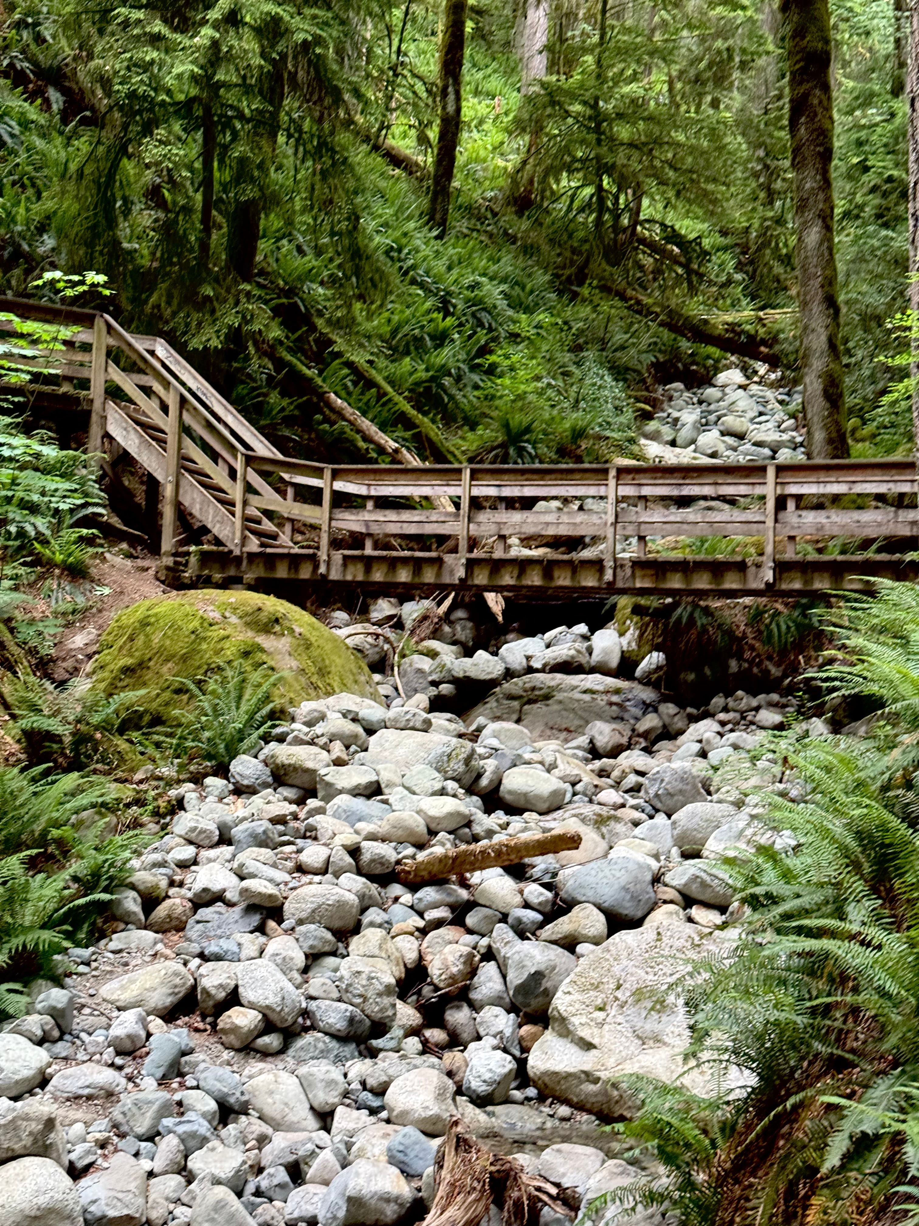 Wooden Bridge Over Rocky Stream in BC Forest · Free Stock Photo