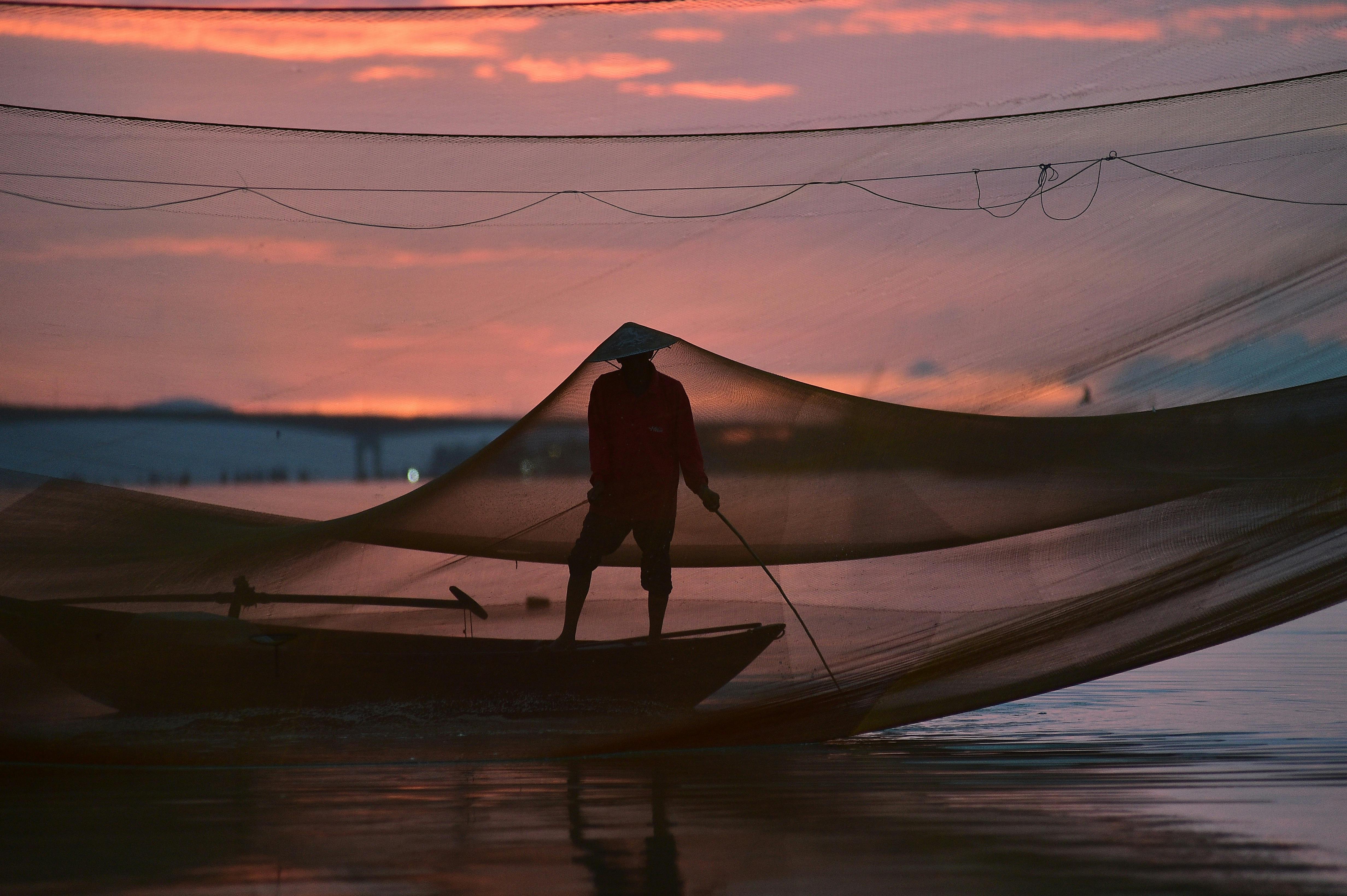 Trampede Net Photos, Download The BEST Free Trampede Net Stock Photos ...