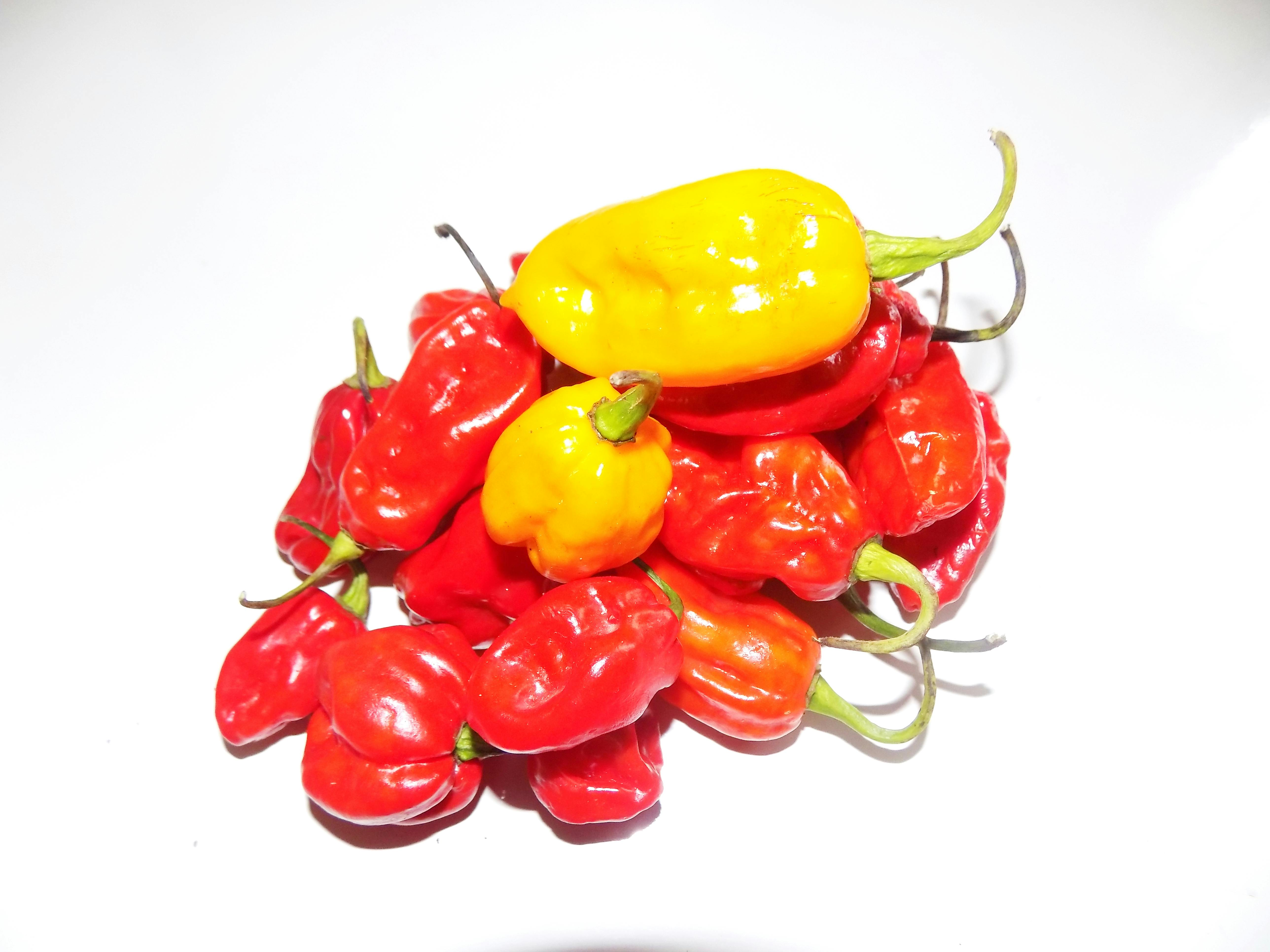 Piment Du Cameroun -pepper From Cameroon-mboapictures: 7 Fotos und ...