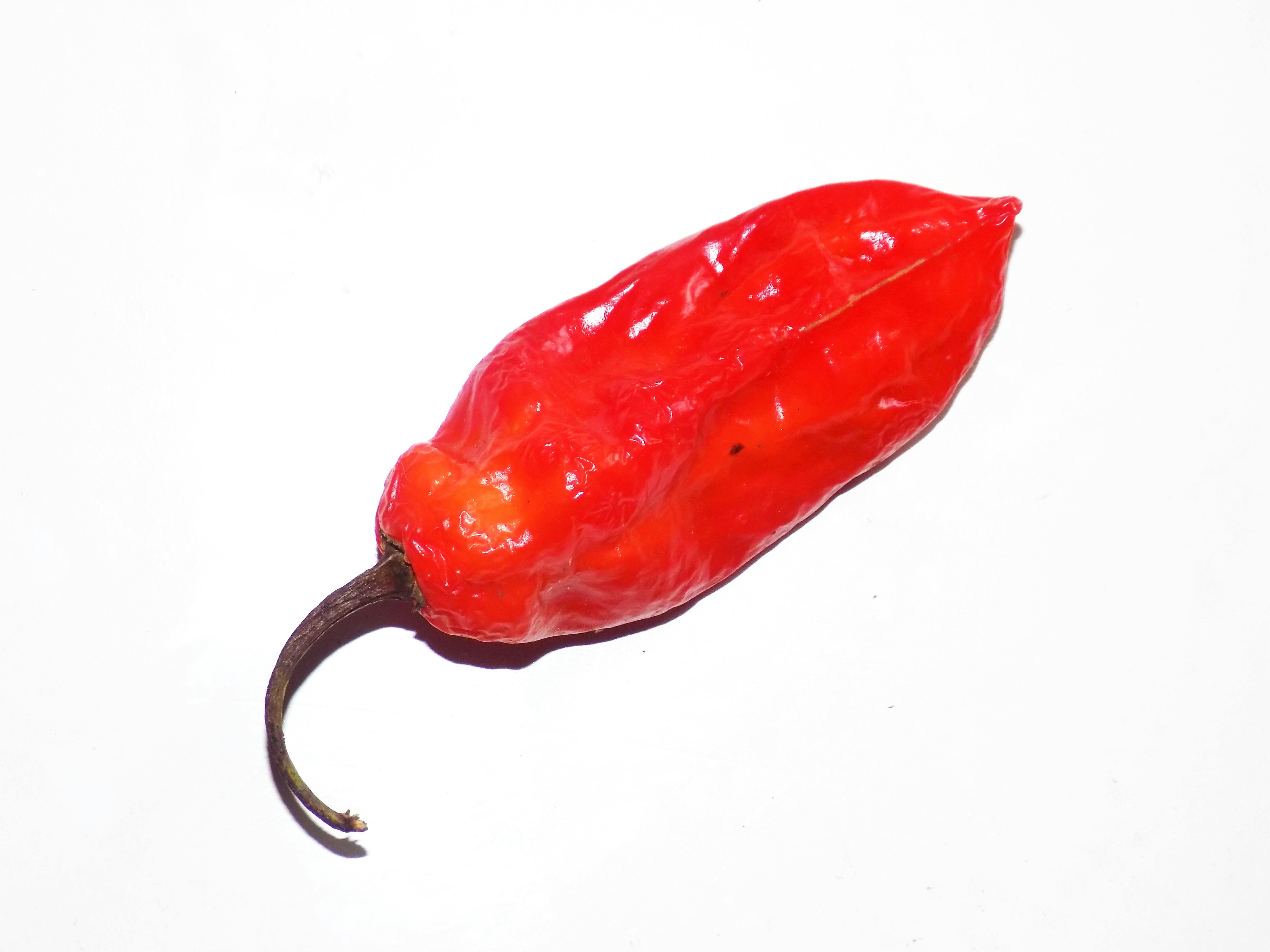 Piment Du Cameroun -pepper From Cameroon-mboapictures: 7 Fotos und ...