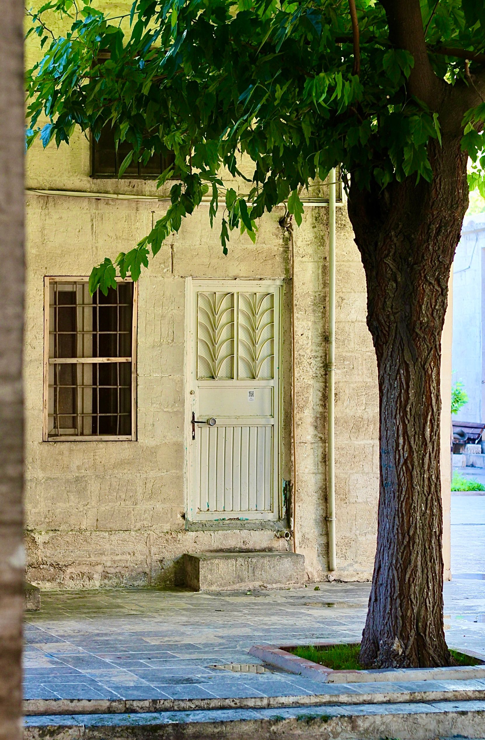 Charming Courtyard with Rustic Door and Tree Shade · Free Stock Photo