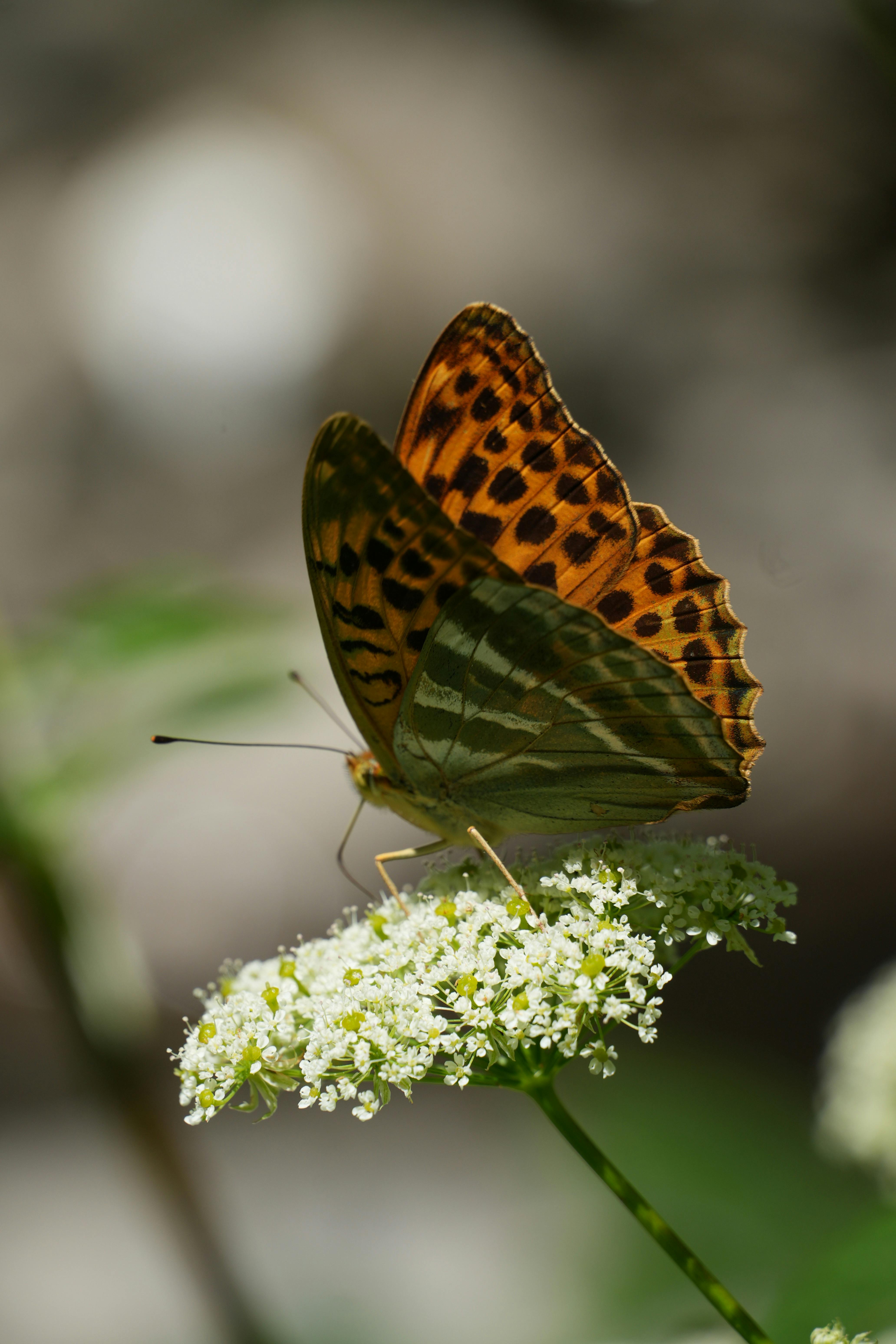 Ramazan Toygun - Fotoğrafçılık