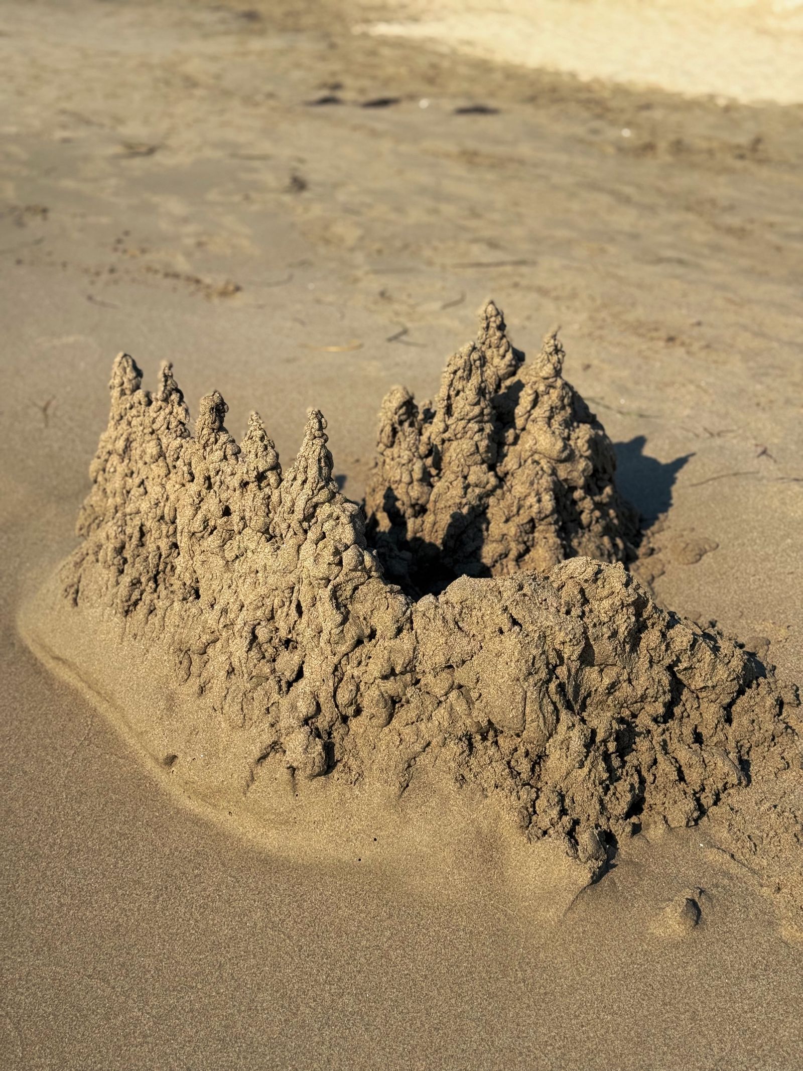 Sand Castle Photos, Download The BEST Free Sand Castle Stock Photos ...