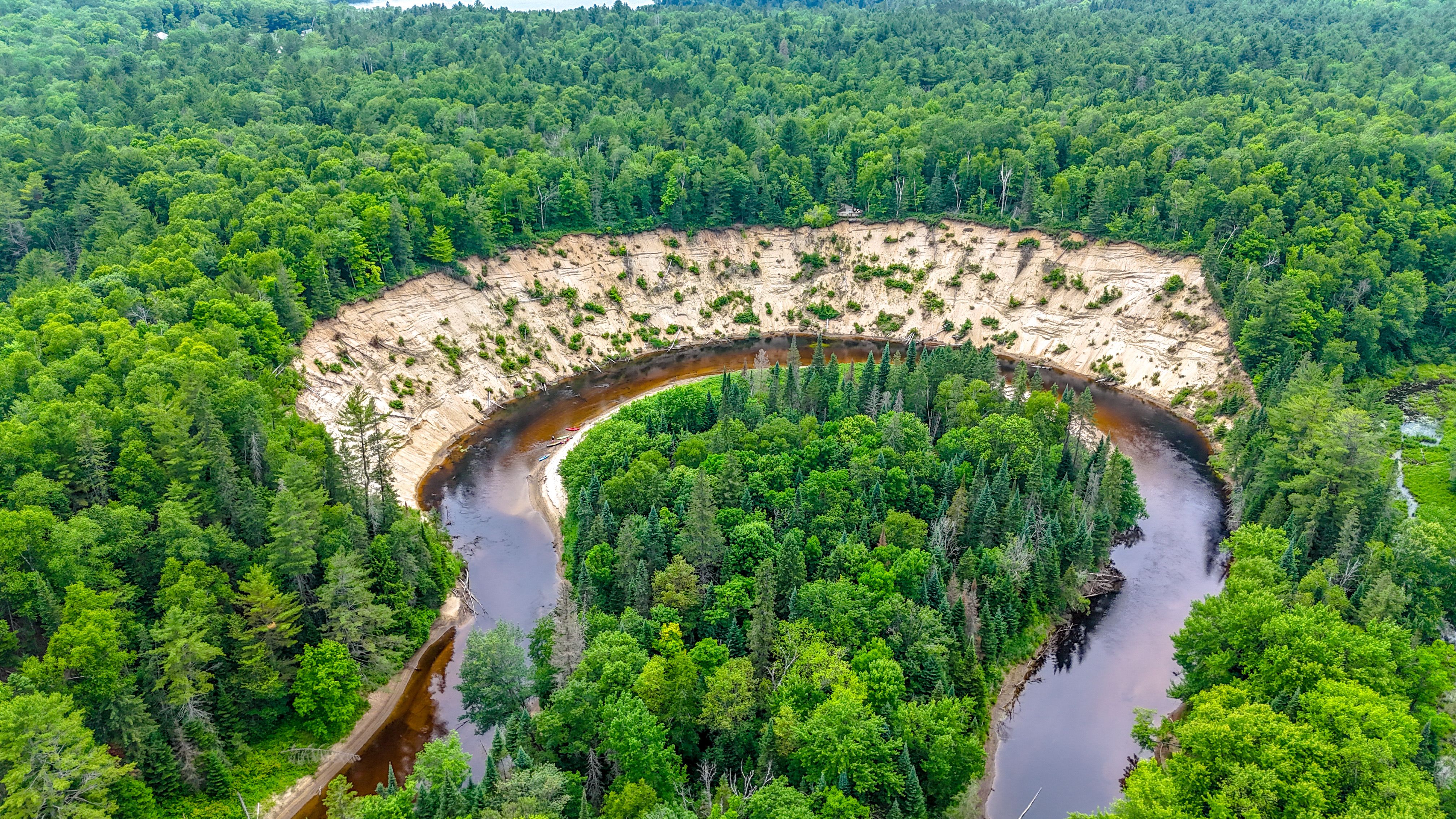 Aerial View of Serpentine River Bend in Lush Forest · Free Stock Photo