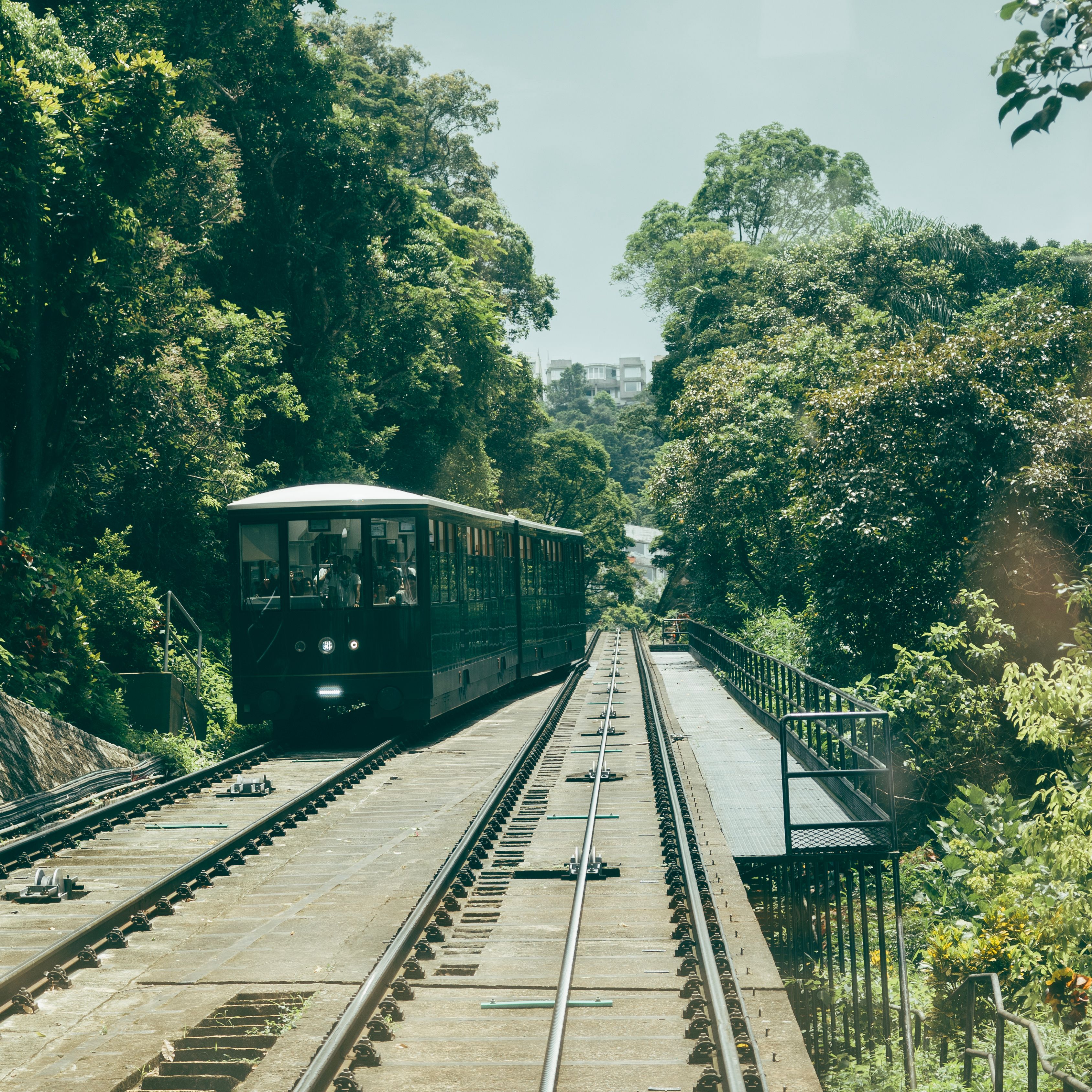 Historic Tram on Scenic Jungle Railway Track · Free Stock Photo