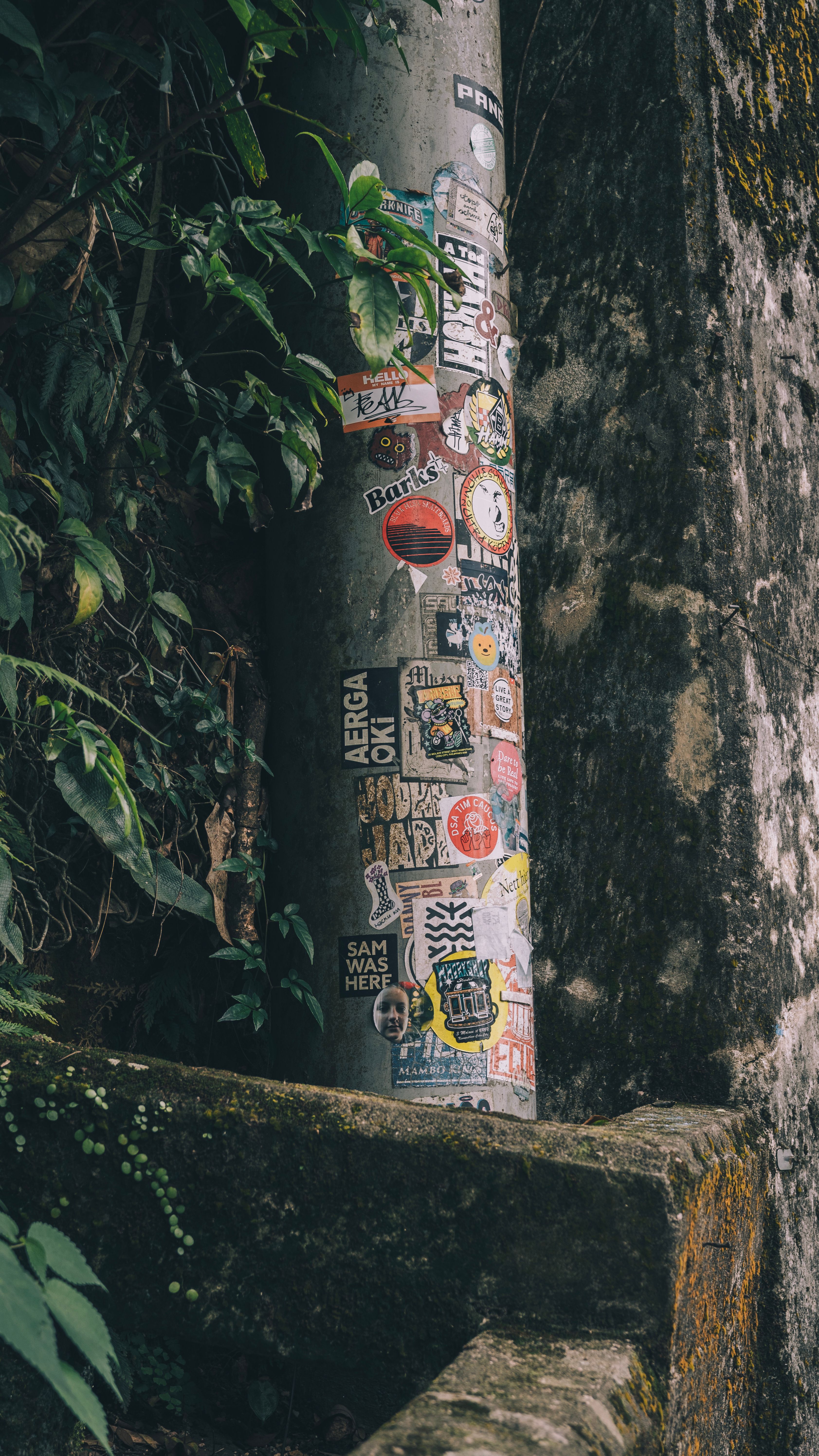 Urban Street Art Stickers on Concrete Pole · Free Stock Photo