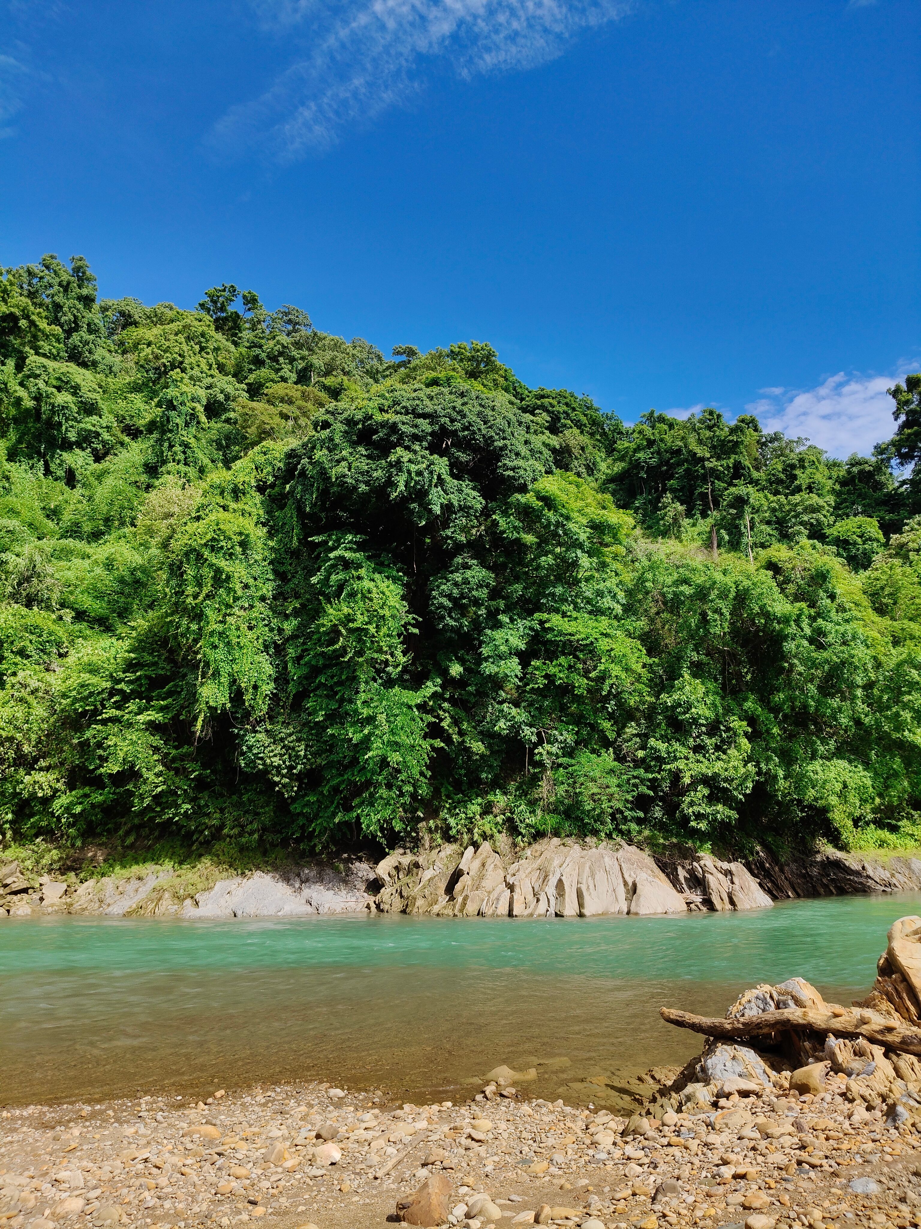 Serene River and Lush Greenery in Assam, India · Free Stock Photo