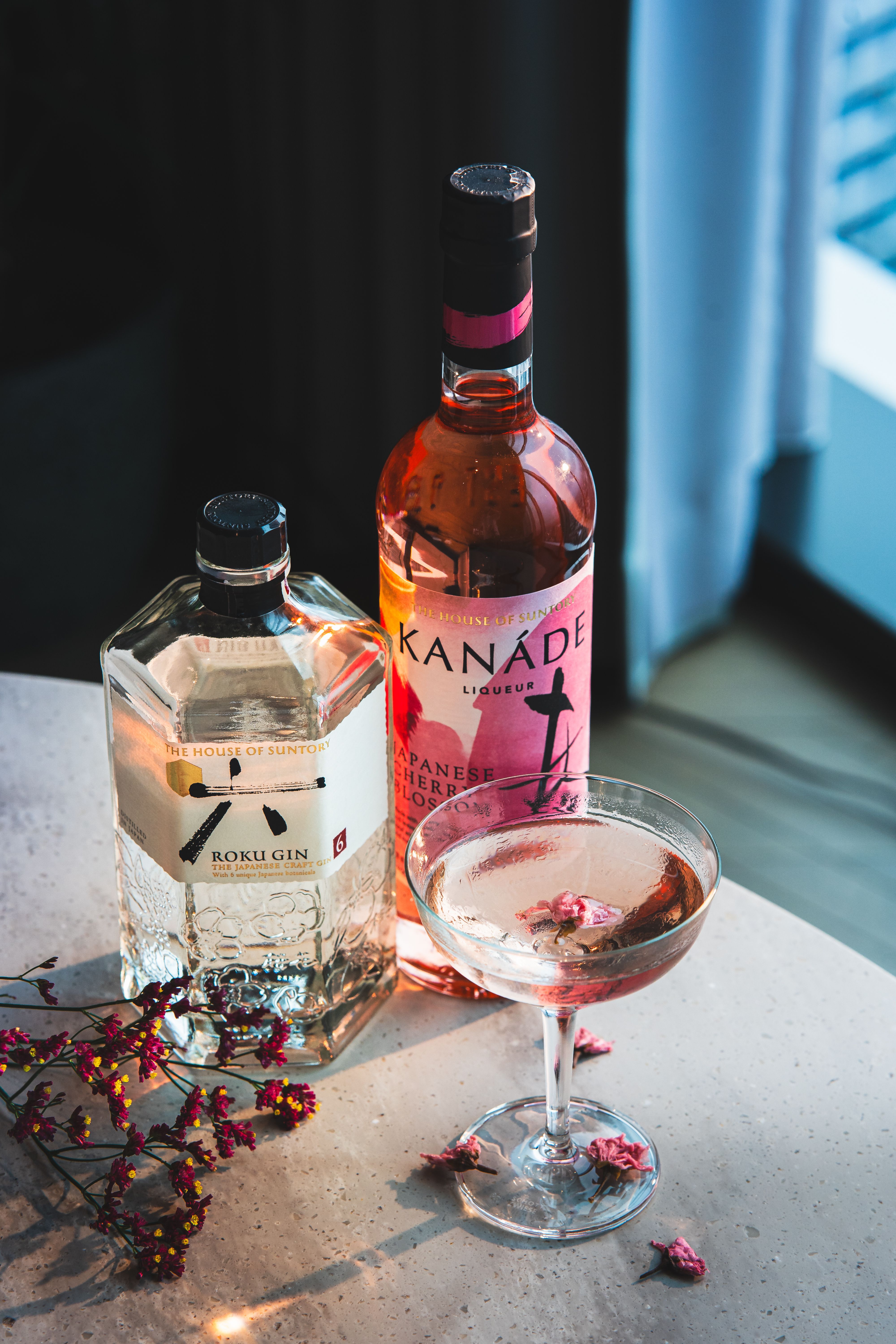 Gin Photos, Download The BEST Free Gin Stock Photos & HD Images
