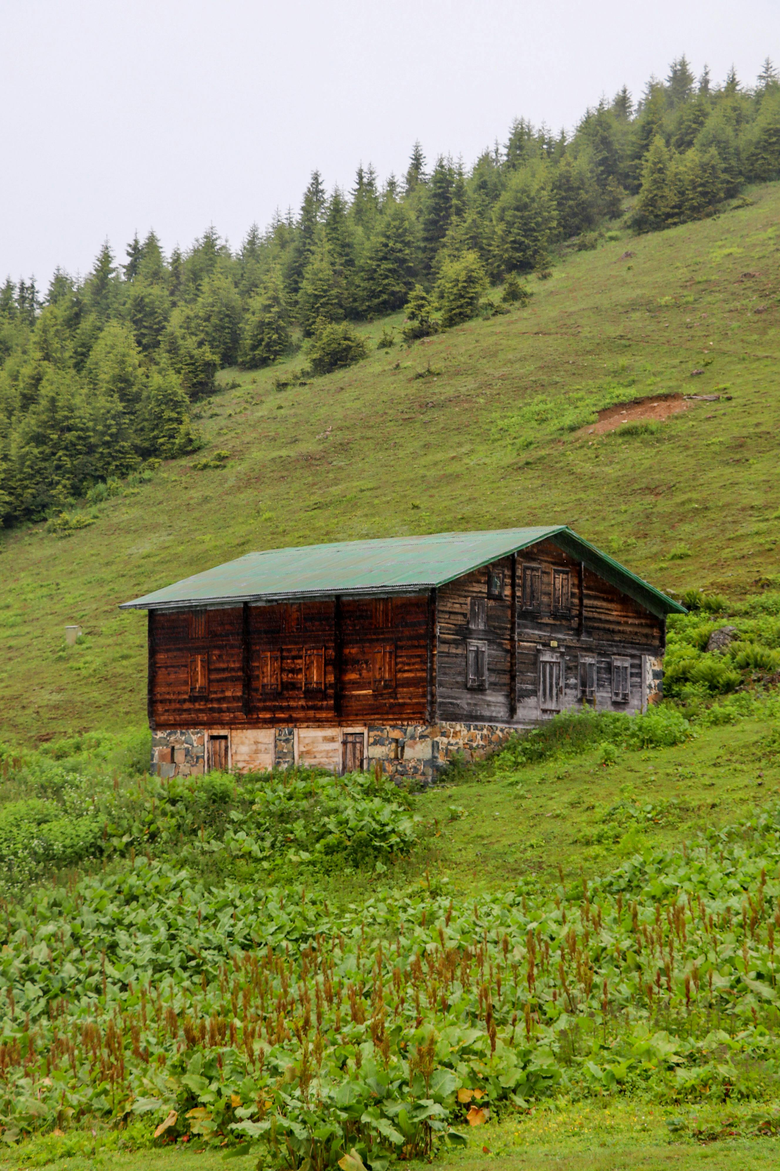 Zen Building Photos, Download The BEST Free Zen Building Stock Photos ...