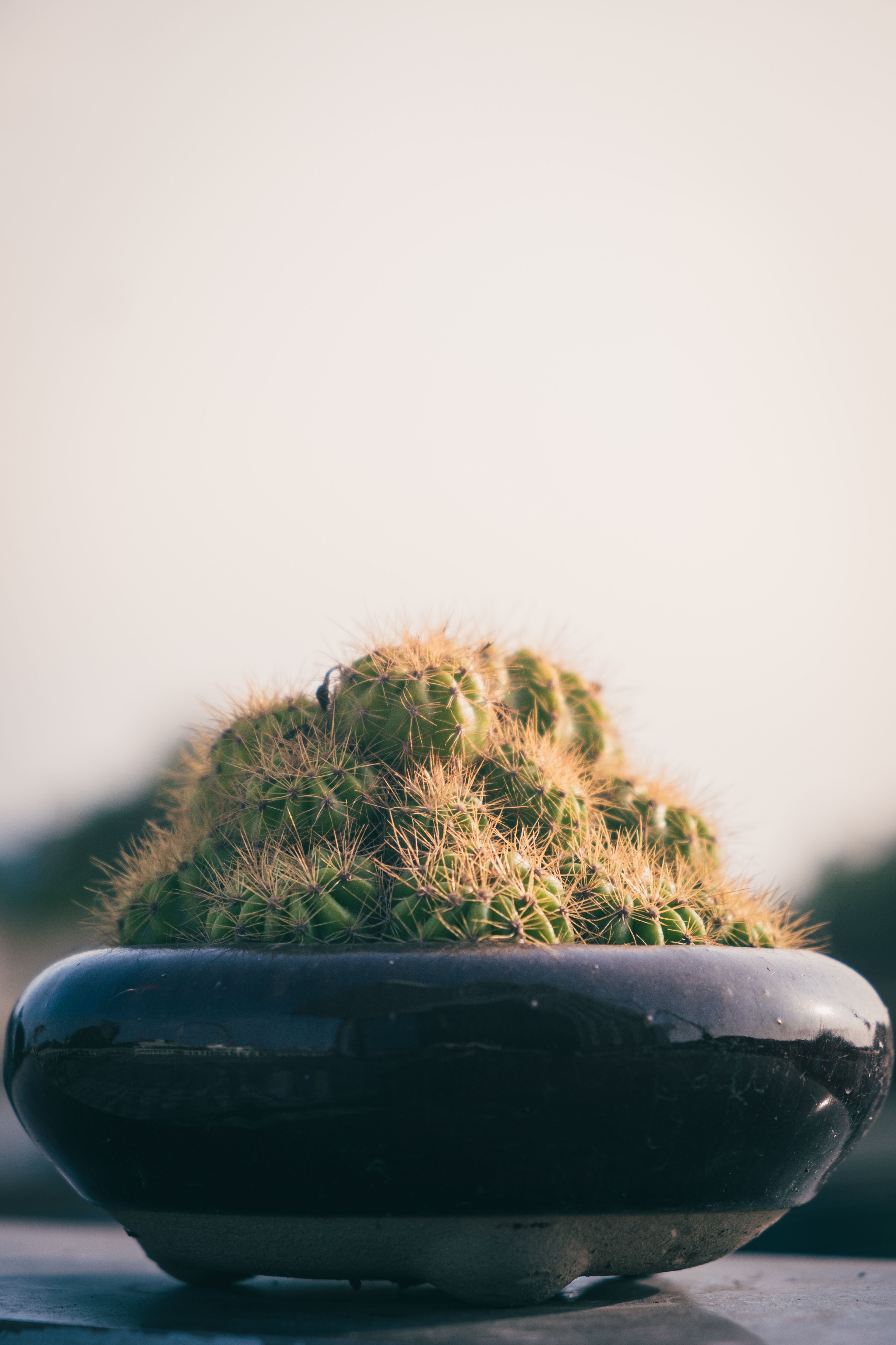 Calm Earthy Photos, Download The BEST Free Calm Earthy Stock Photos ...