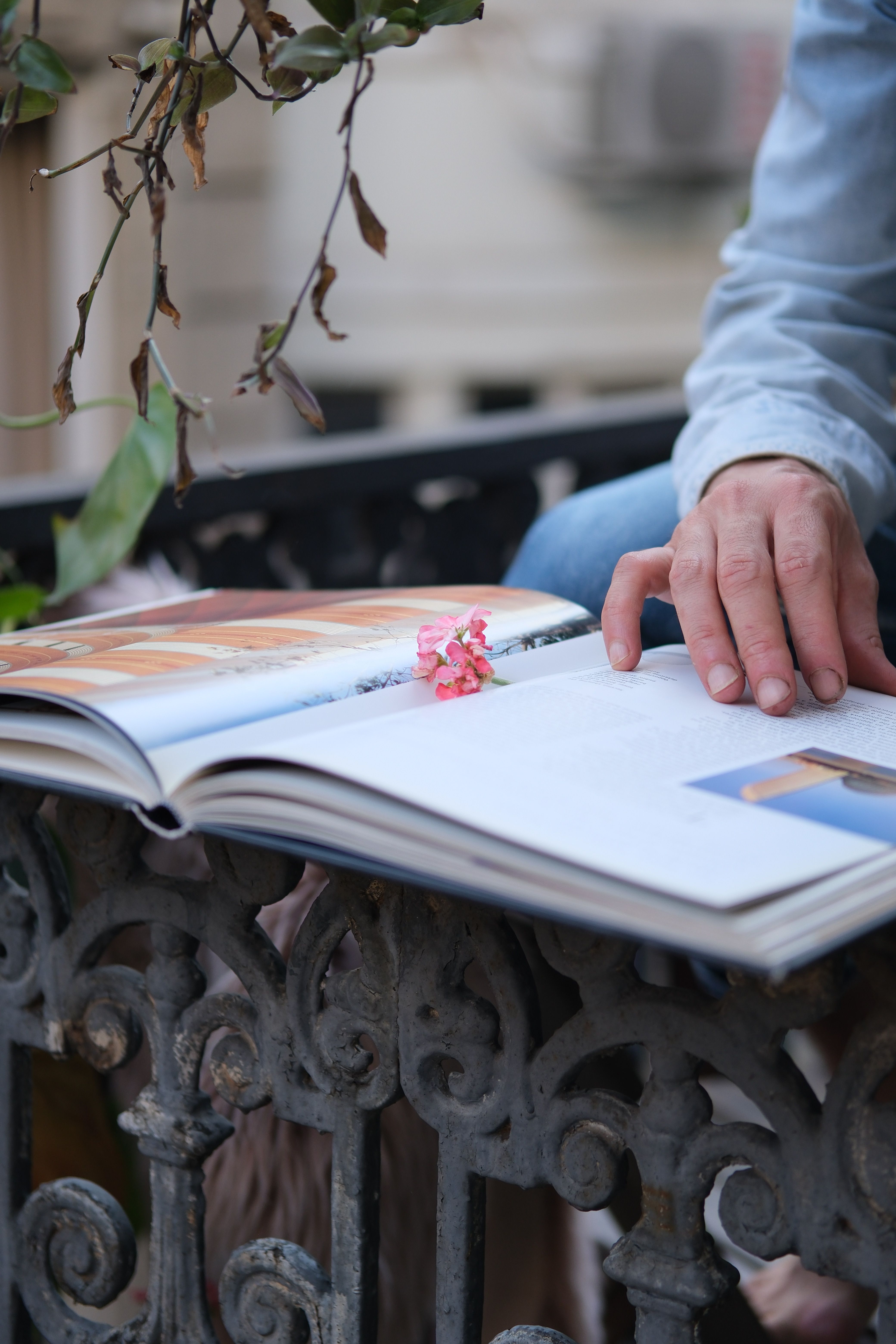 Person Reading A Book Photos, Download The BEST Free Person Reading A ...