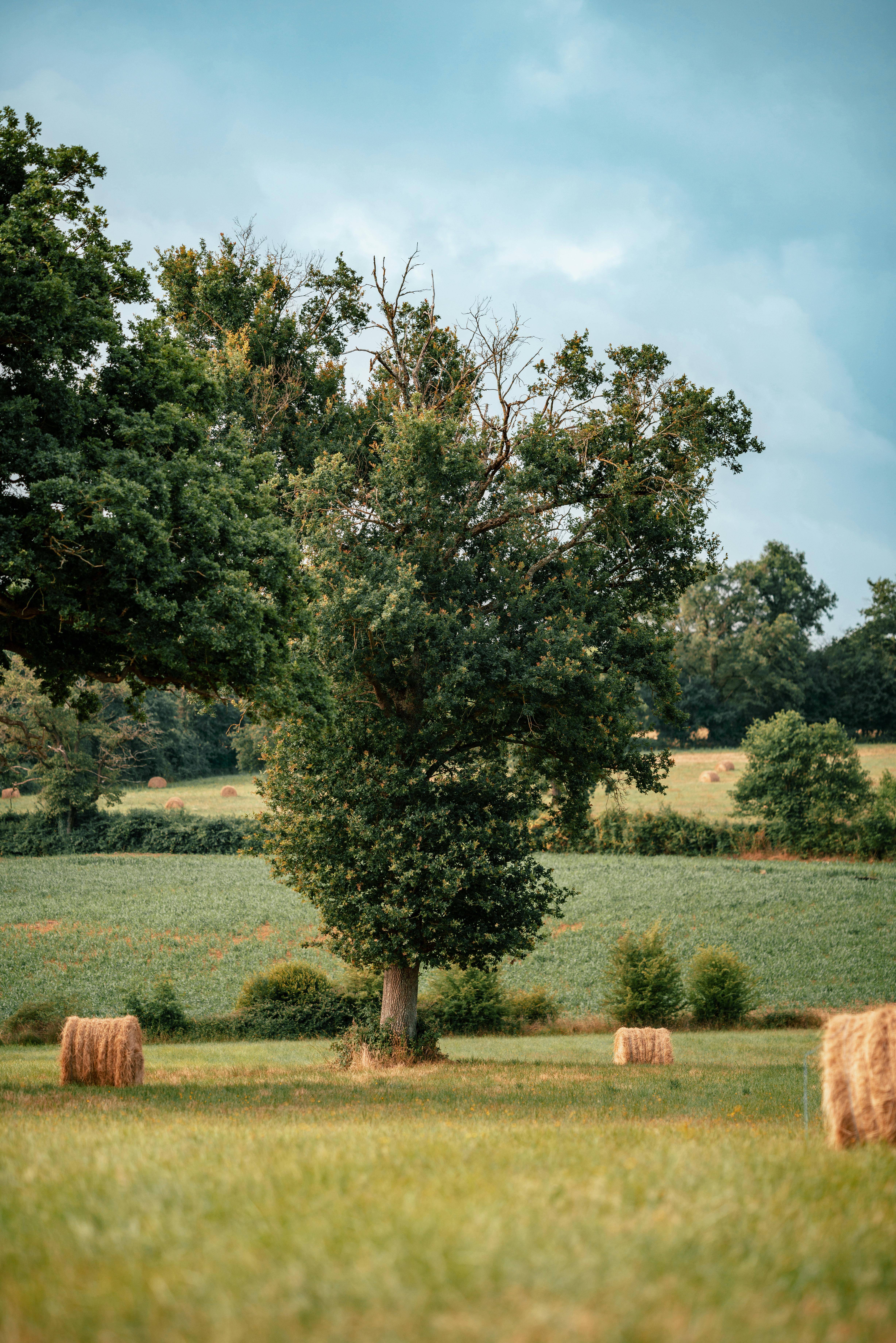 Printable+Landscape+Pictures Photos, Download The BEST Free Printable ...