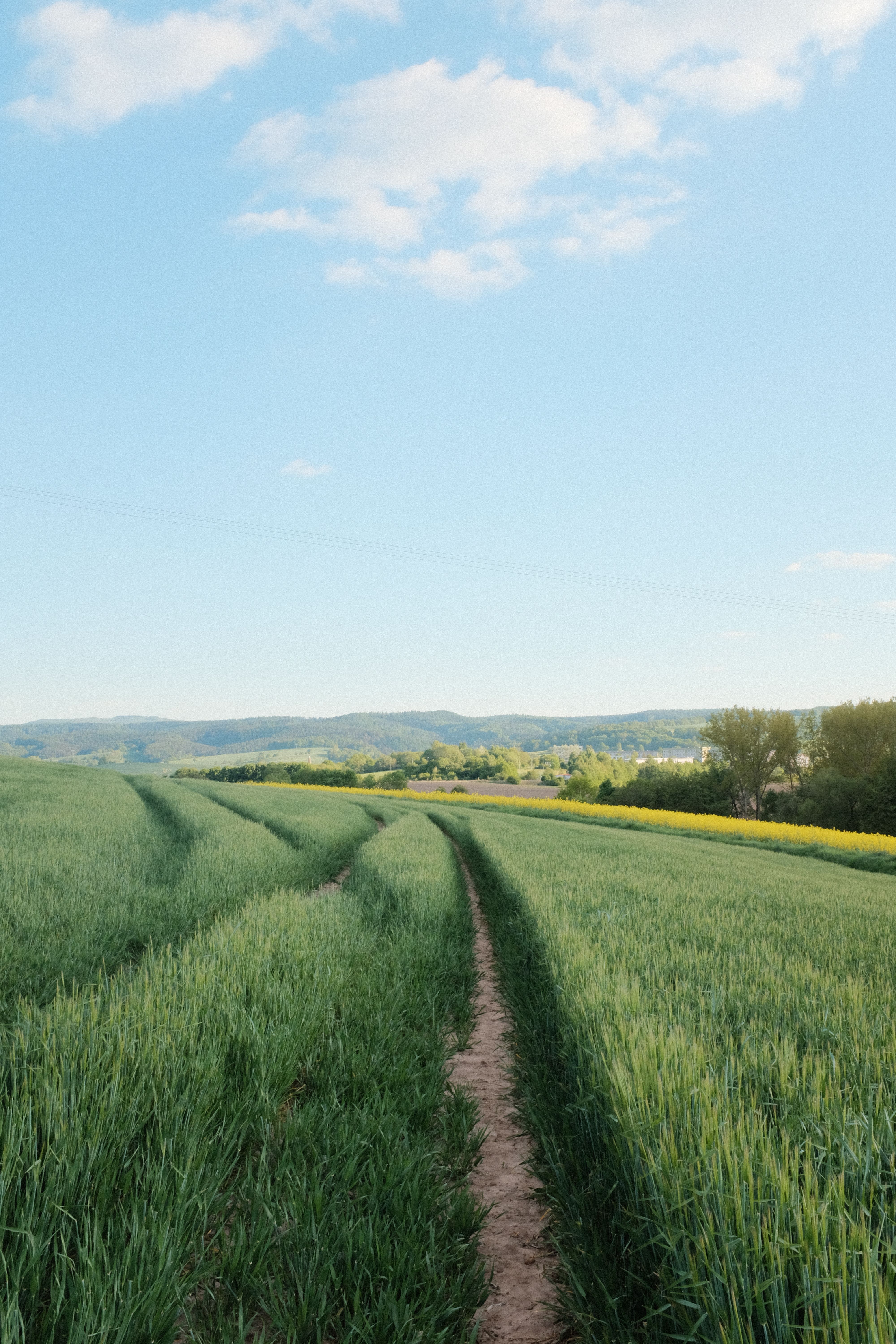 Scenic Rural Landscape with Pathway and Fields · Free Stock Photo