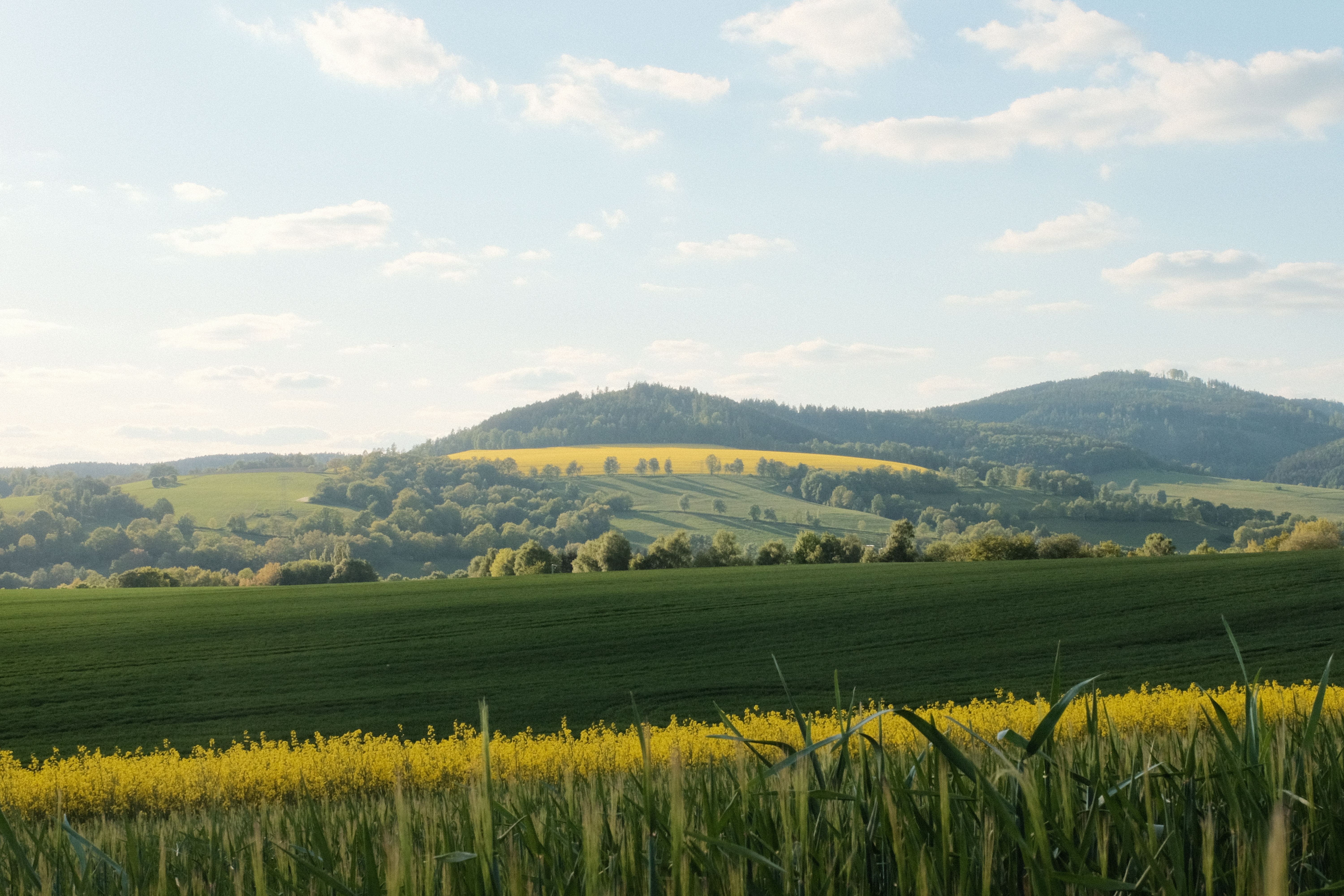 Scenic Summer View of Rolling Green Hills · Free Stock Photo