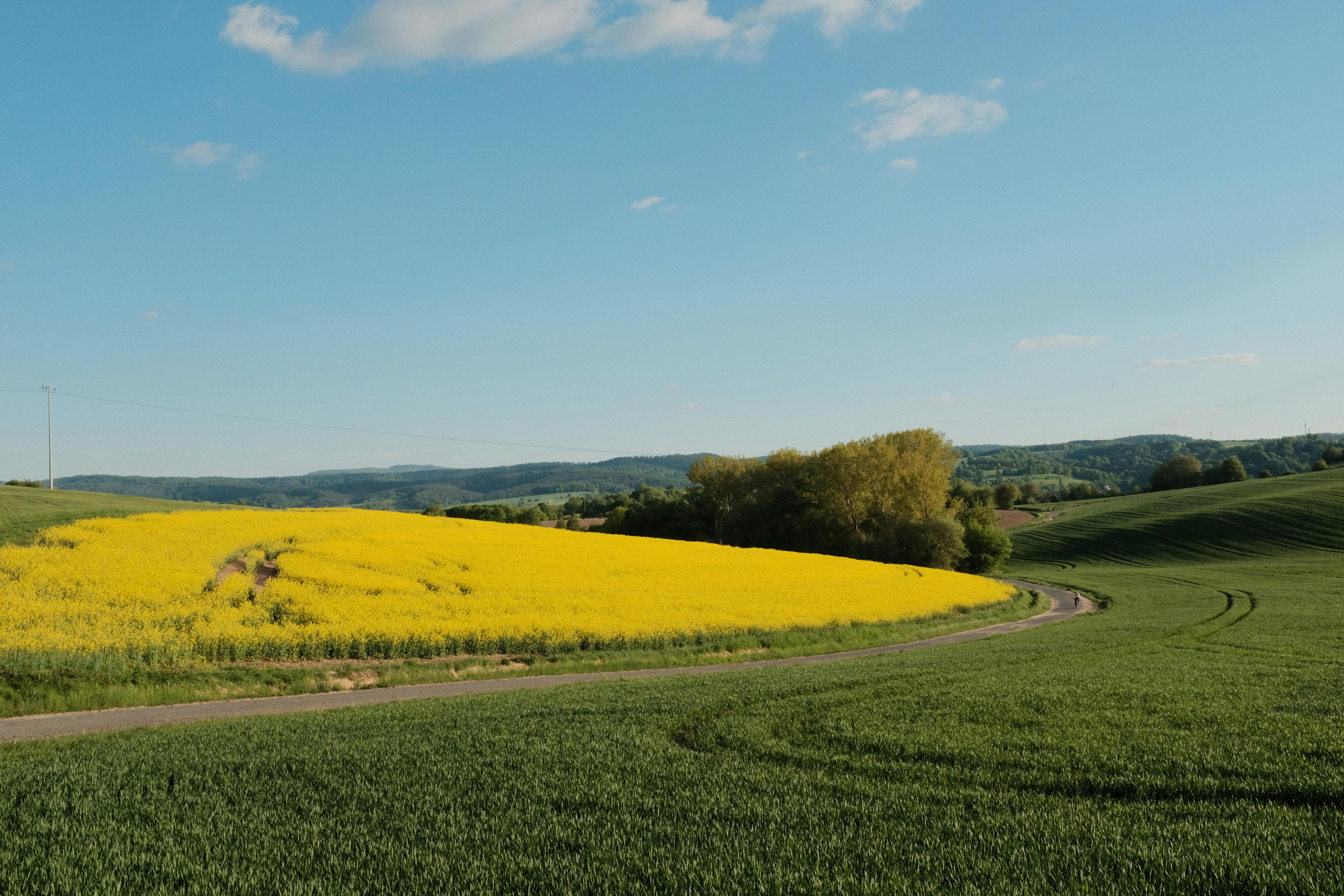 Midday Environment Photos, Download The BEST Free Midday Environment ...