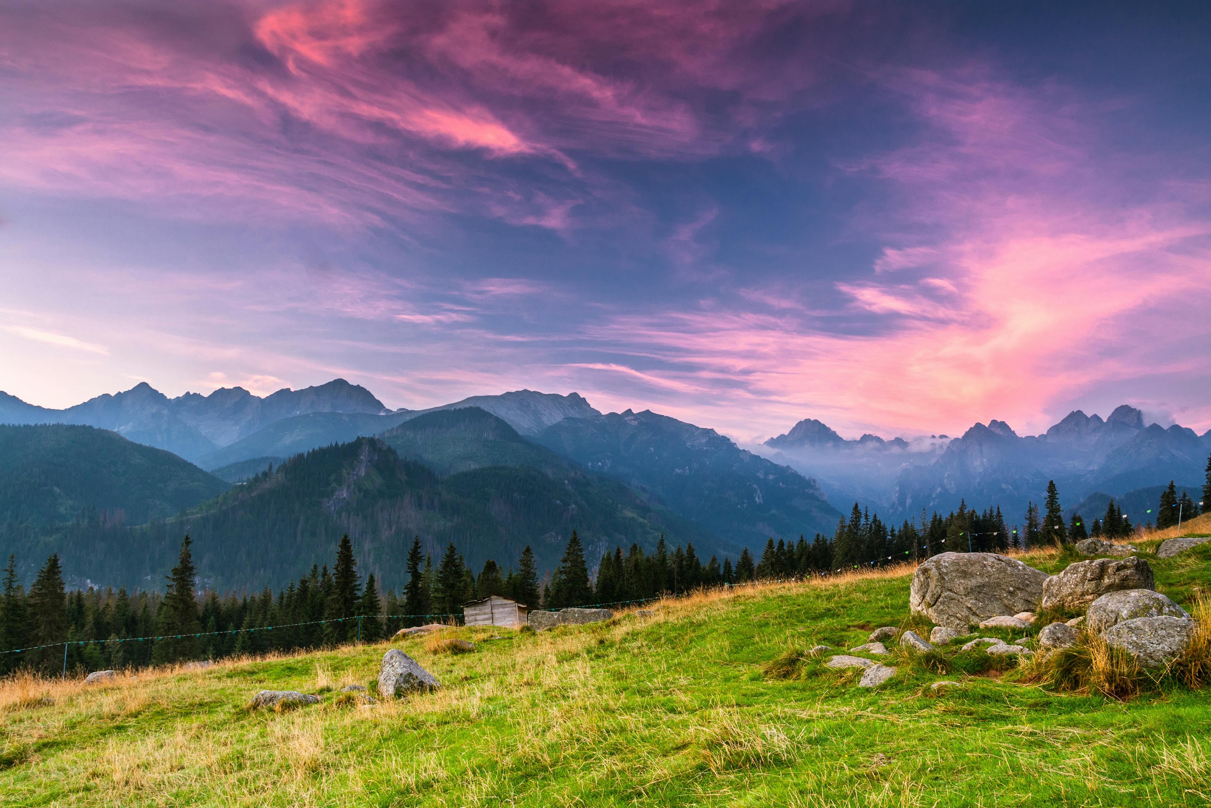 Alpine Photos, Download The BEST Free Alpine Stock Photos & HD Images