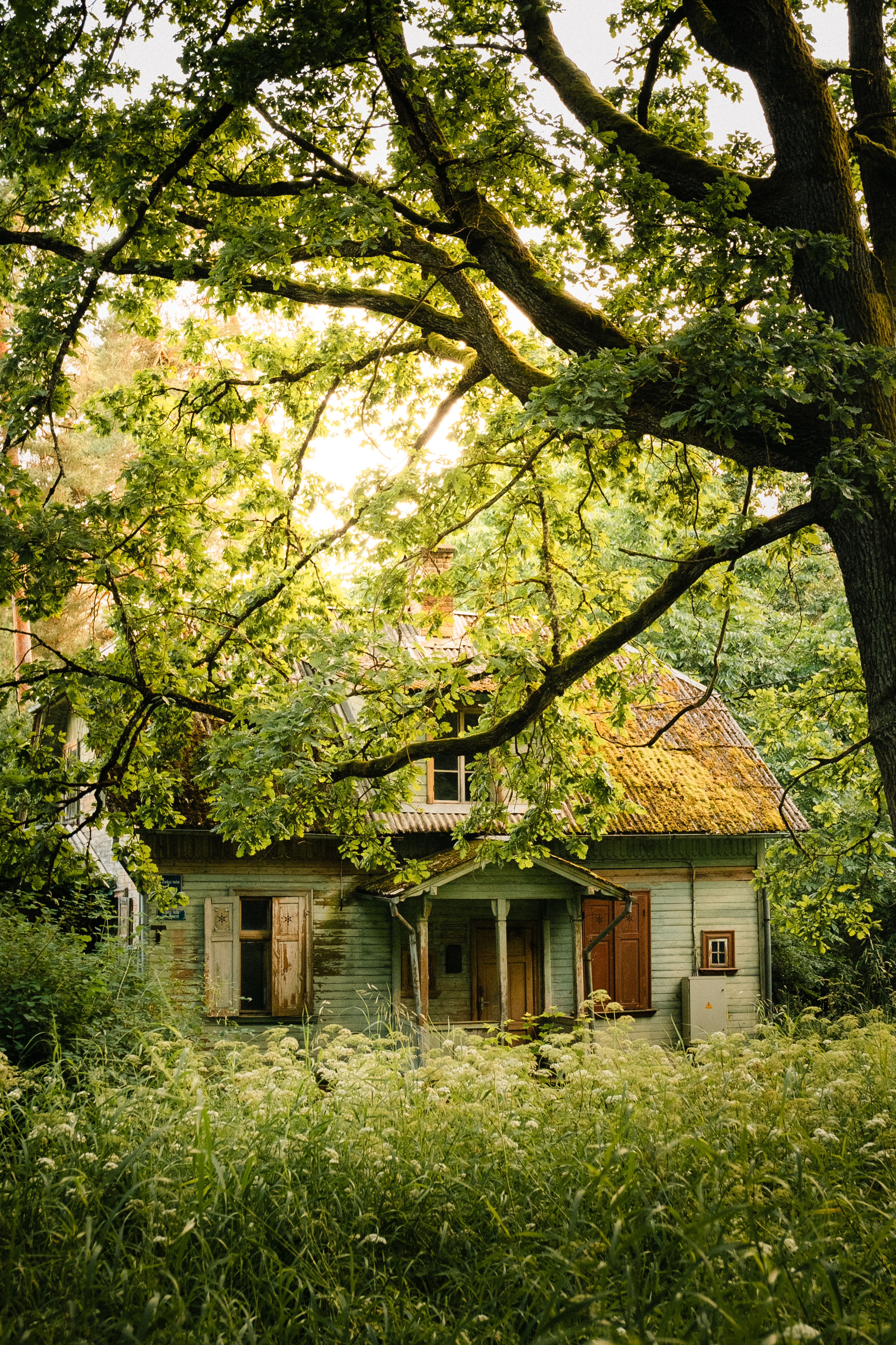 Charming Rustic Cottage in Lush Greenery · Free Stock Photo