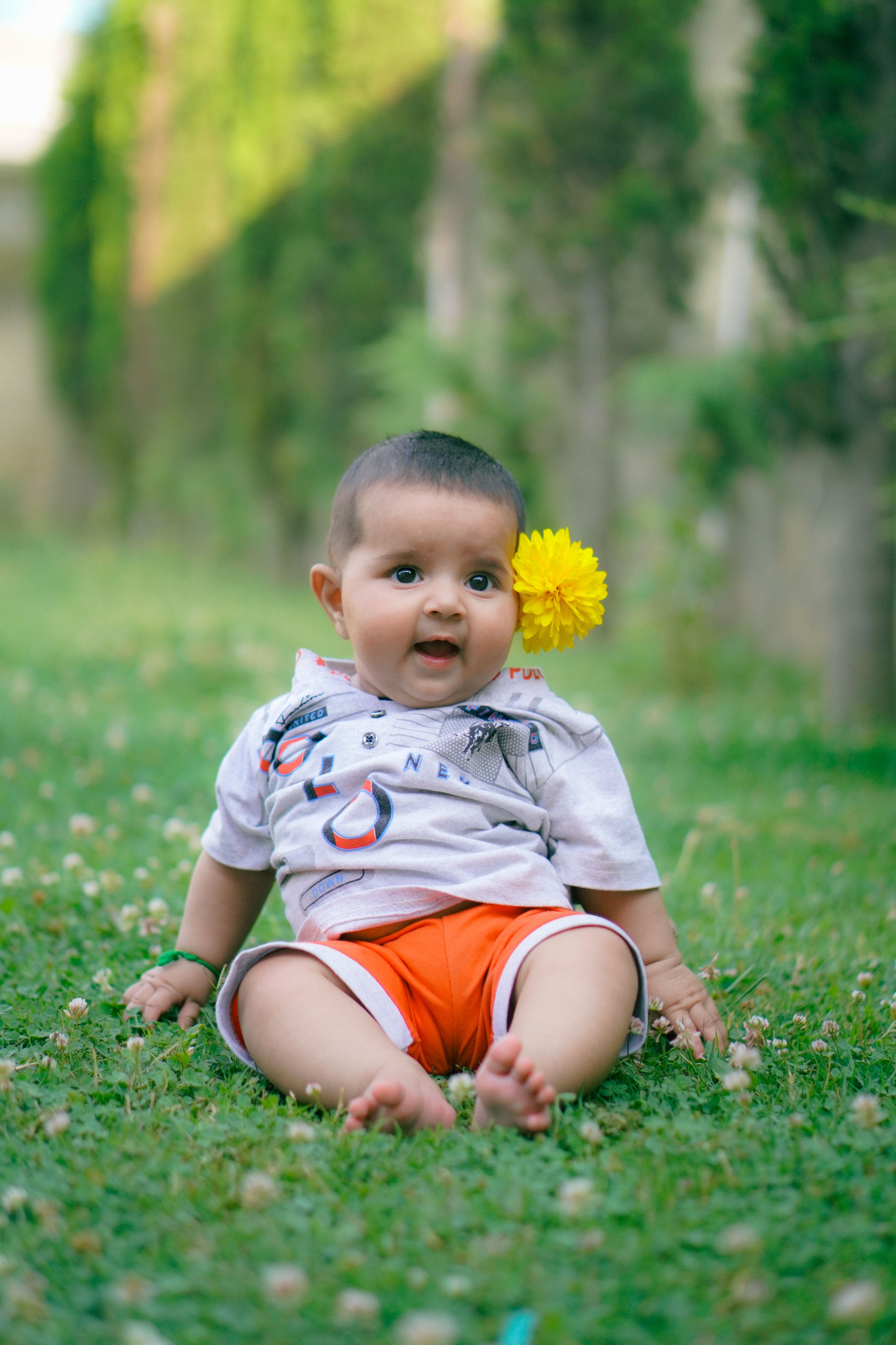 Adorable Baby Sitting in a Sunny Garden · Free Stock Photo