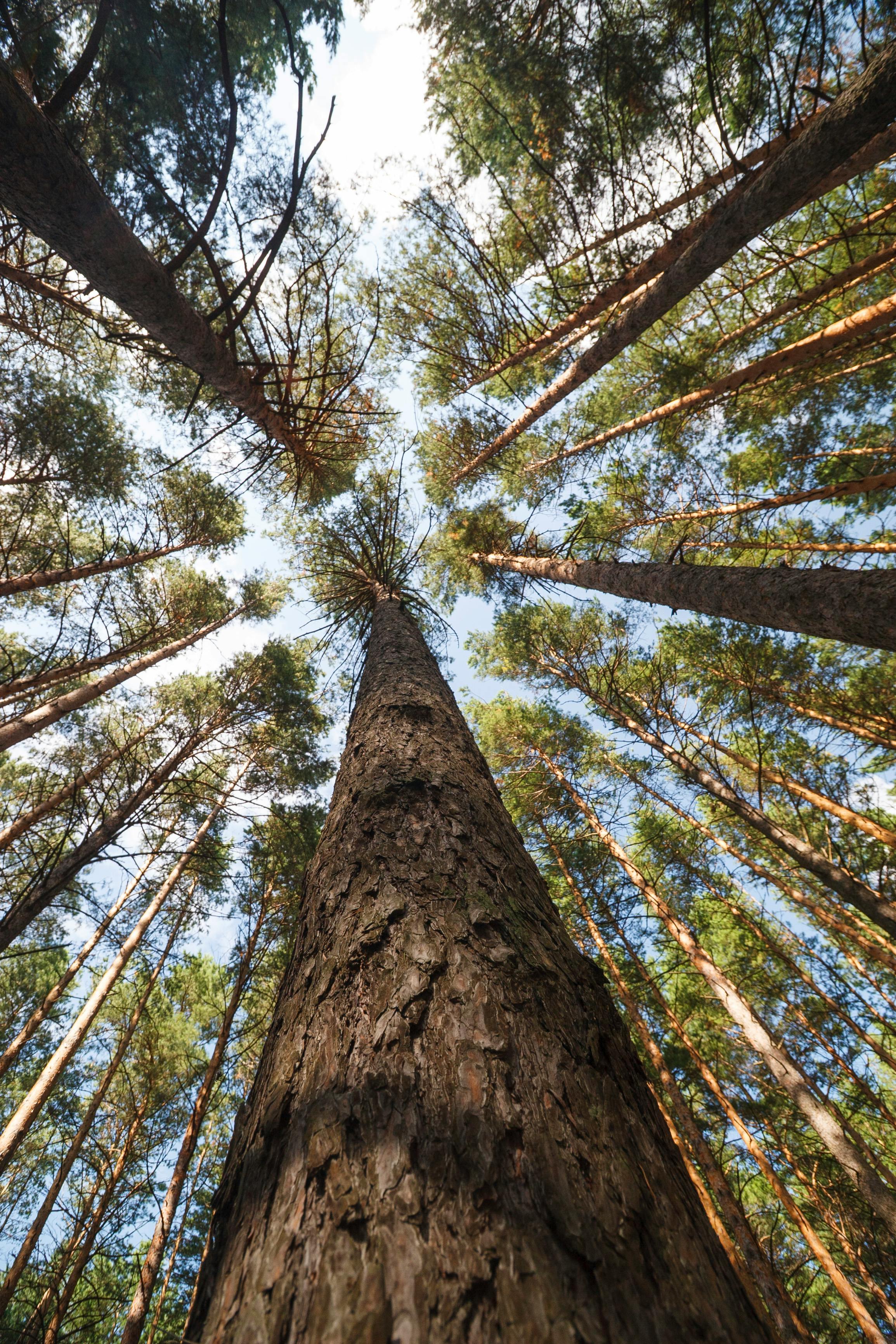 Tall Buliding Photos, Download The BEST Free Tall Buliding Stock Photos ...