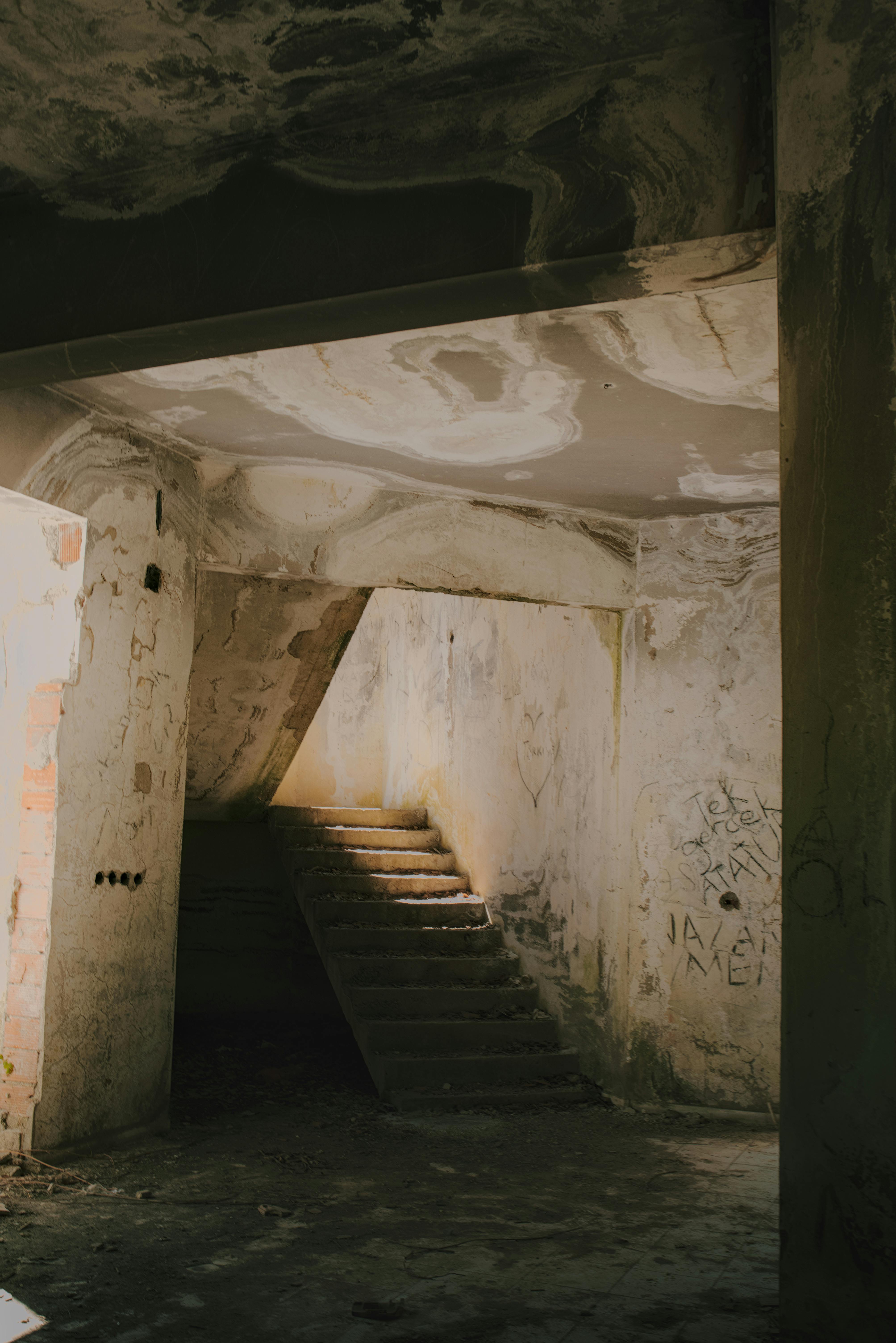 日光が差し込む廃墟の階段 · 無料の写真素材