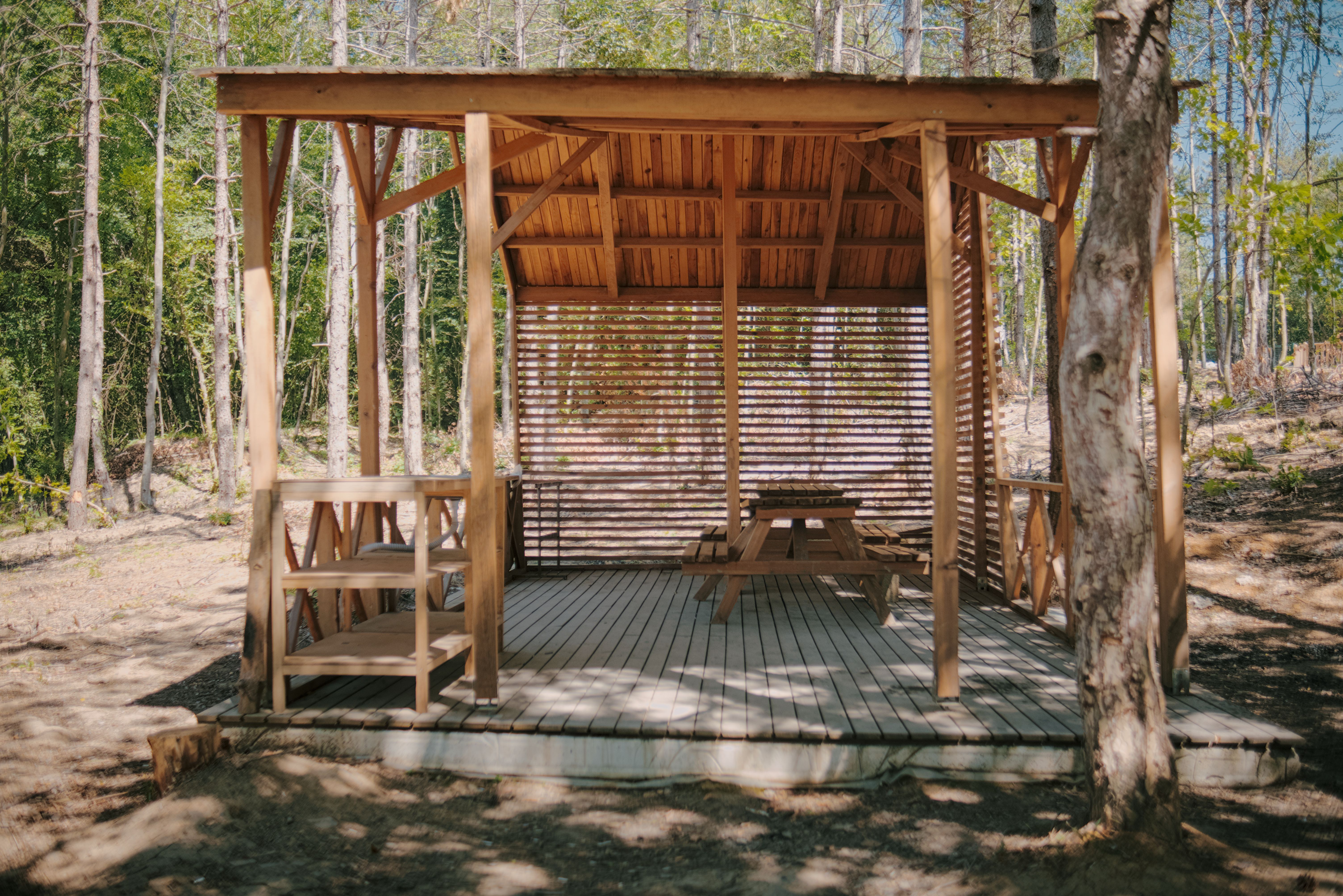 Secluded Wooden Gazebo in Forest Setting · Free Stock Photo