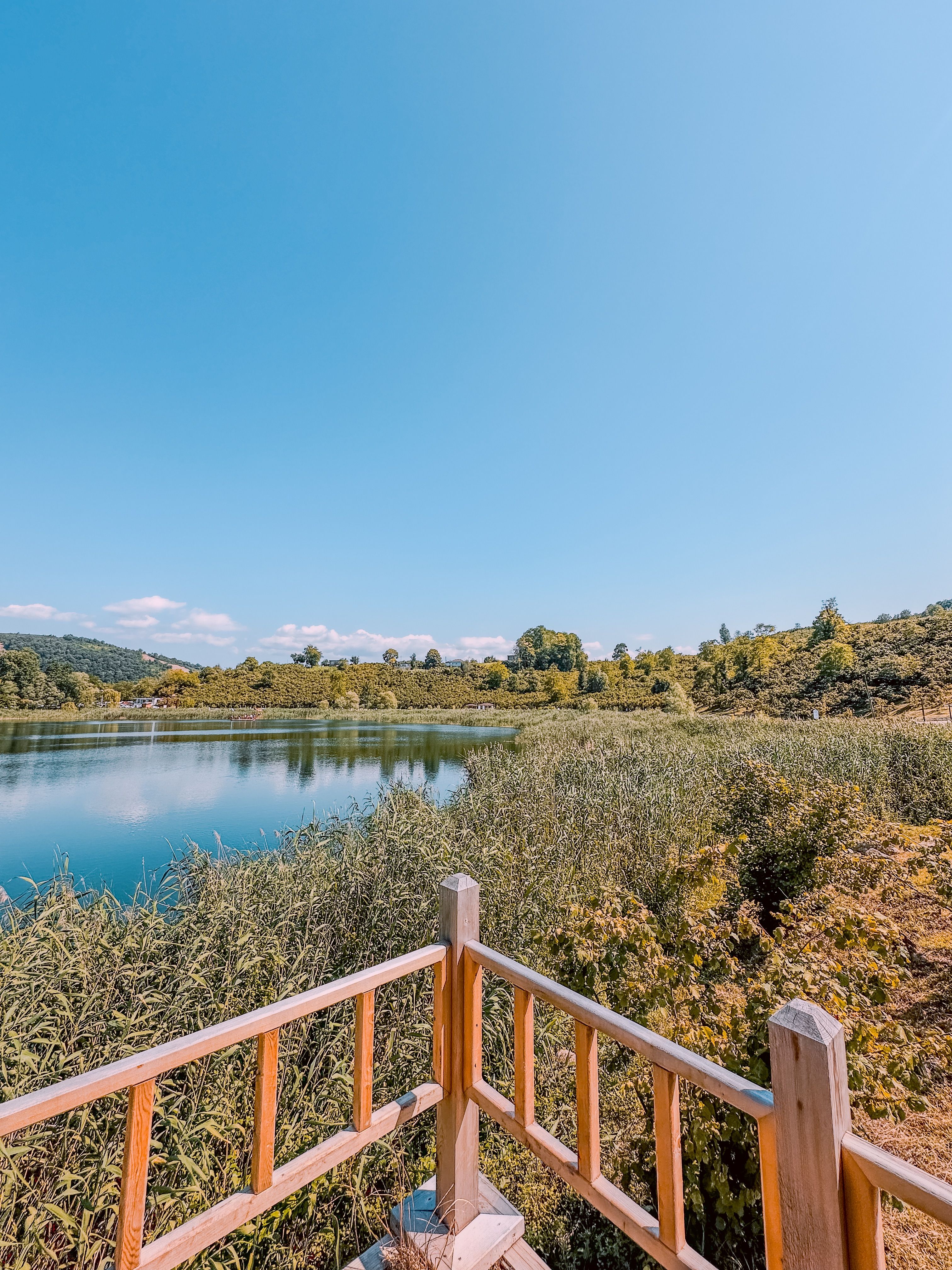 Scenic Lakeside View from Wooden Deck · Free Stock Photo