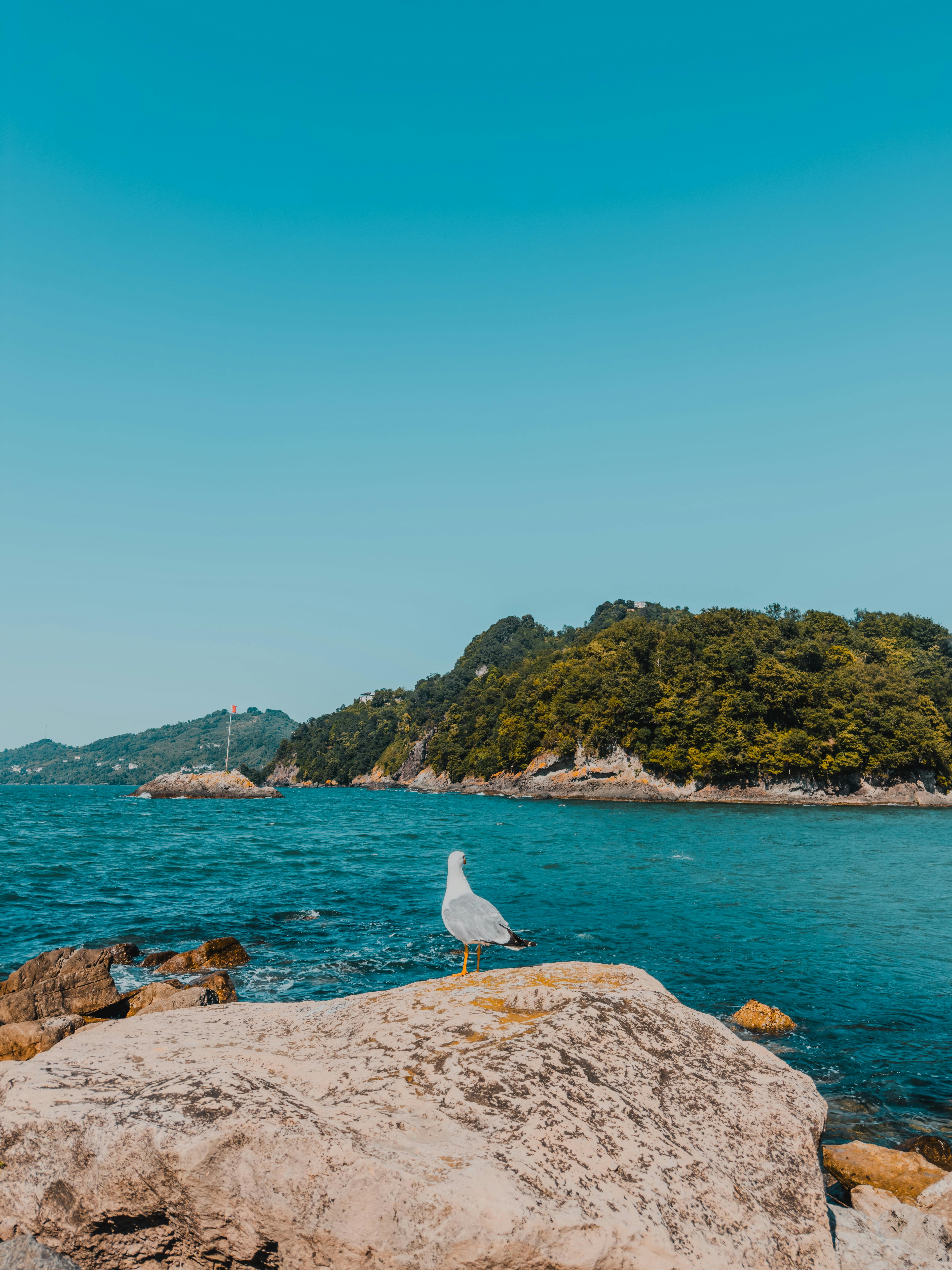 Reliability Picture Photos, Download The BEST Free Reliability Picture ...