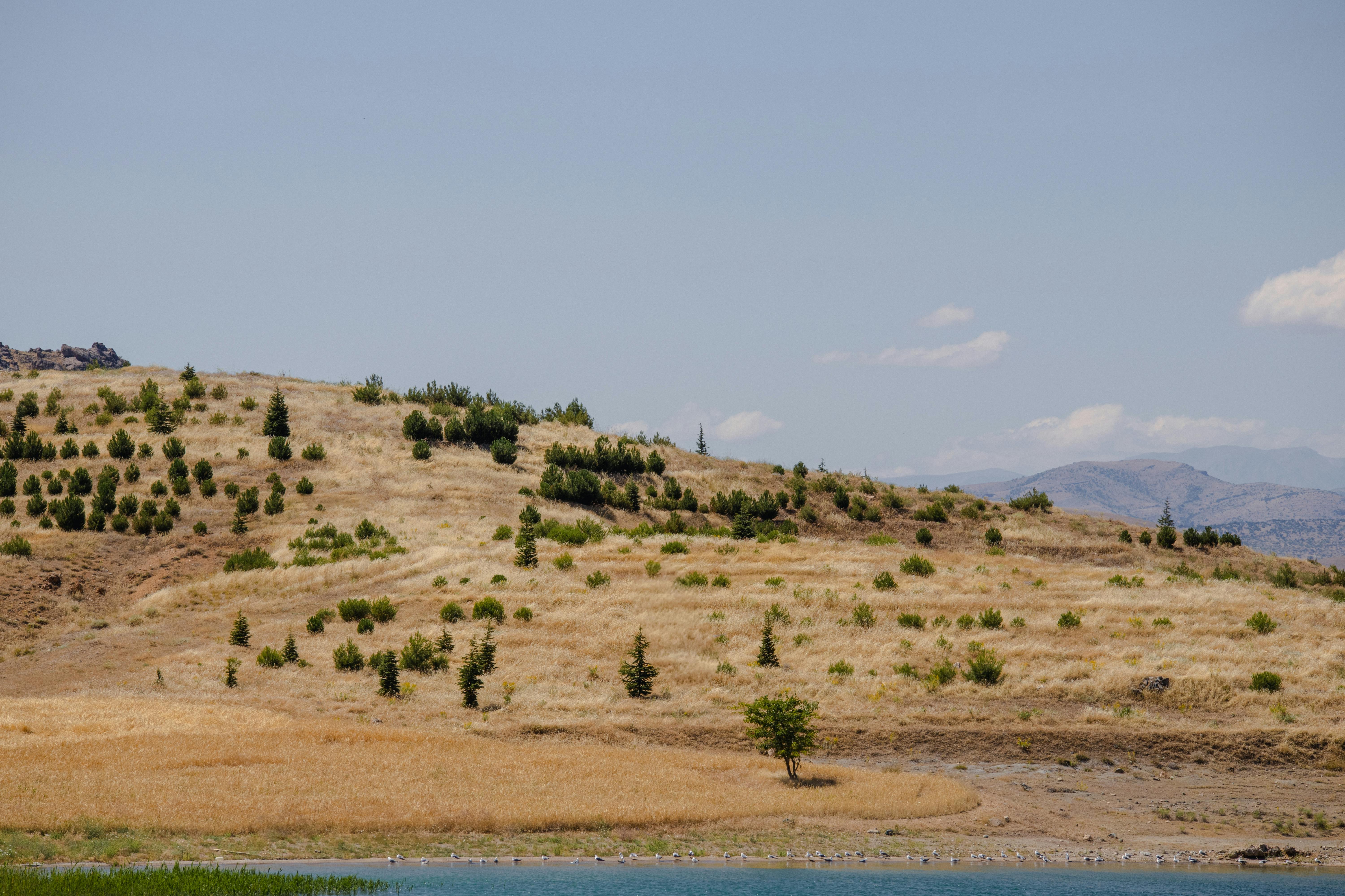 Scenic Landscape in Pertek with Rolling Hills and Blue Sky · Free Stock ...