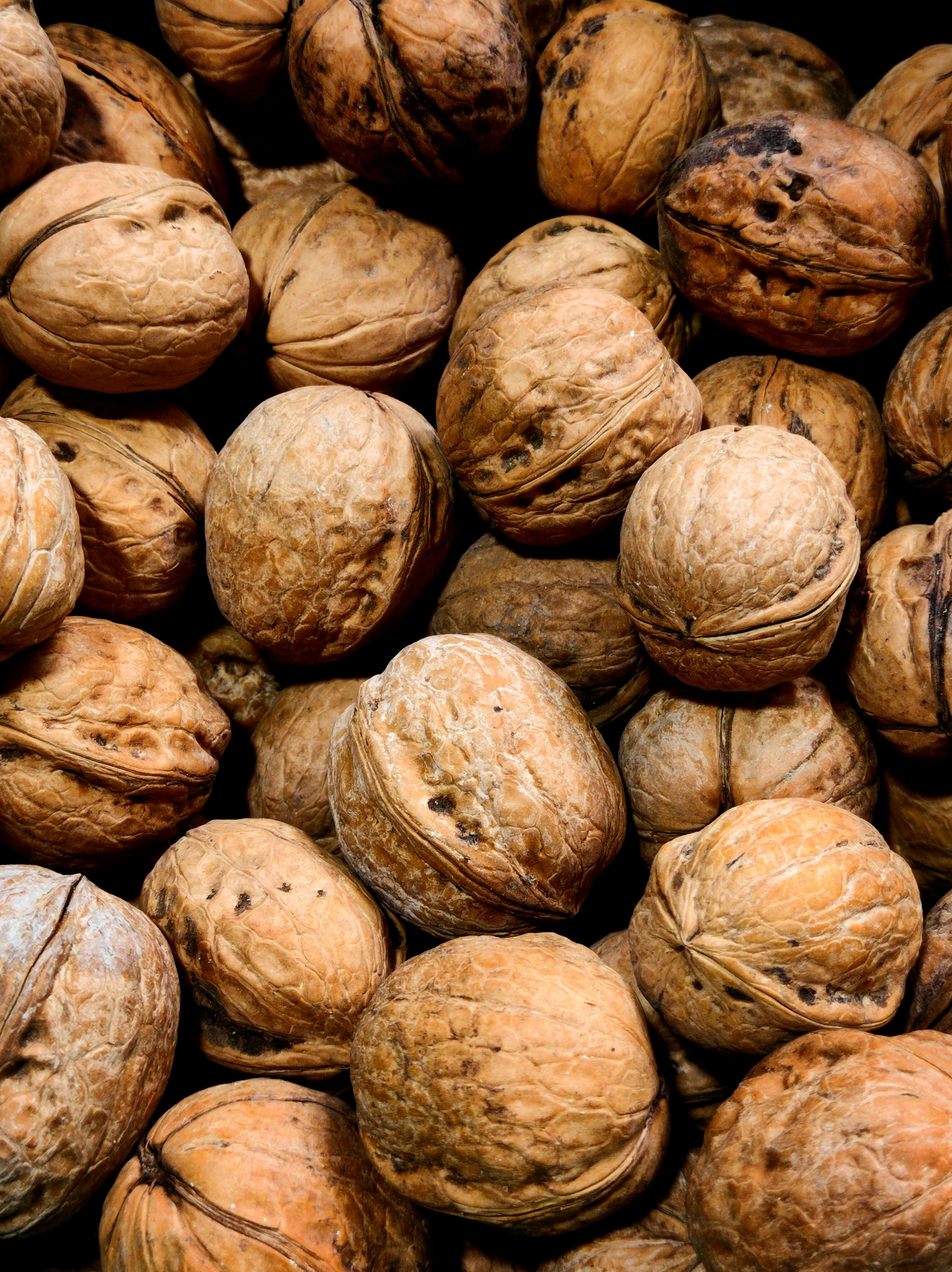 Bumpy Lesions Photos, Download The BEST Free Bumpy Lesions Stock Photos ...