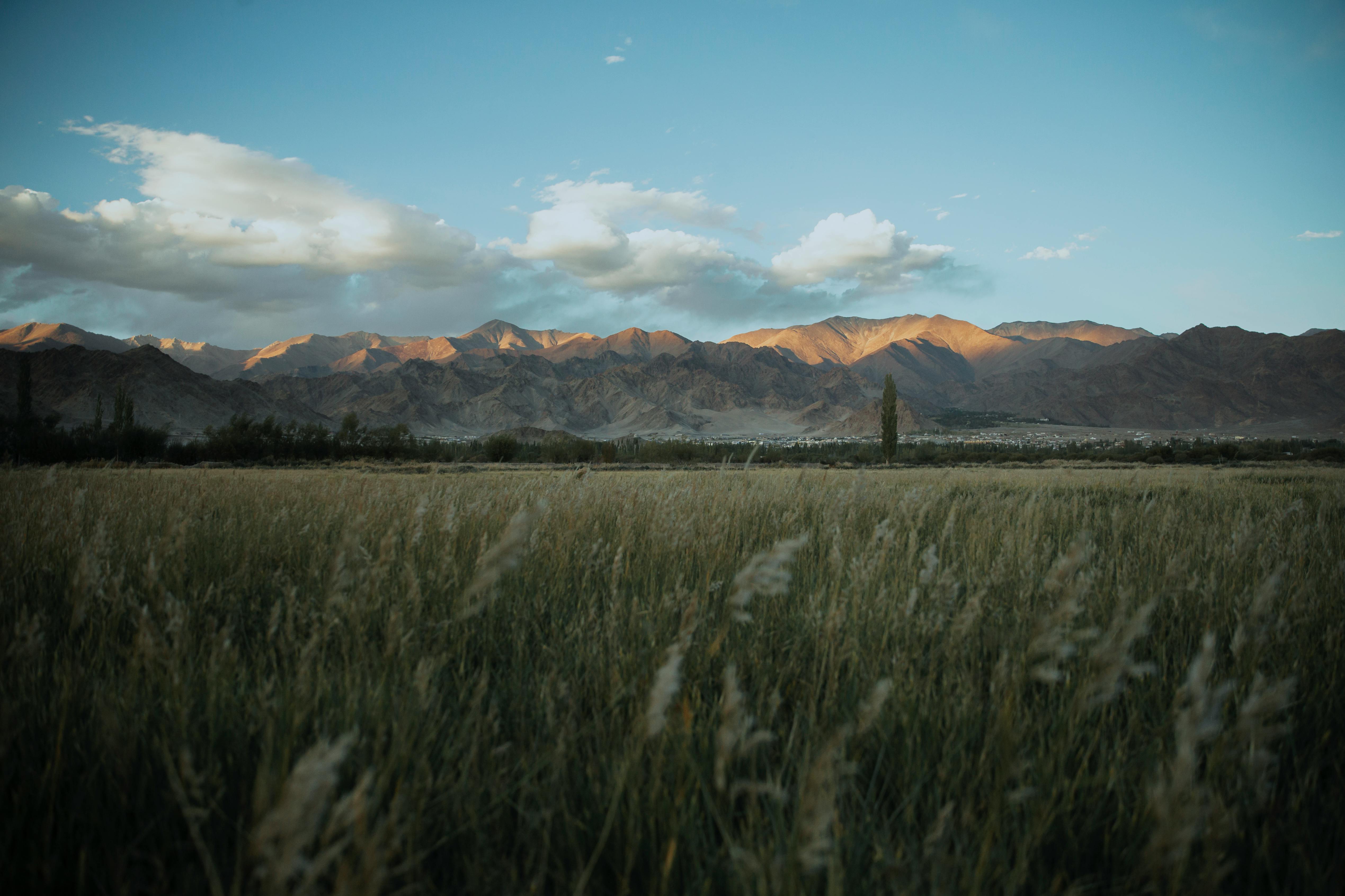 4k+Cutecore+Wallpapers Photos, Download The BEST Free 4k+Cutecore ...