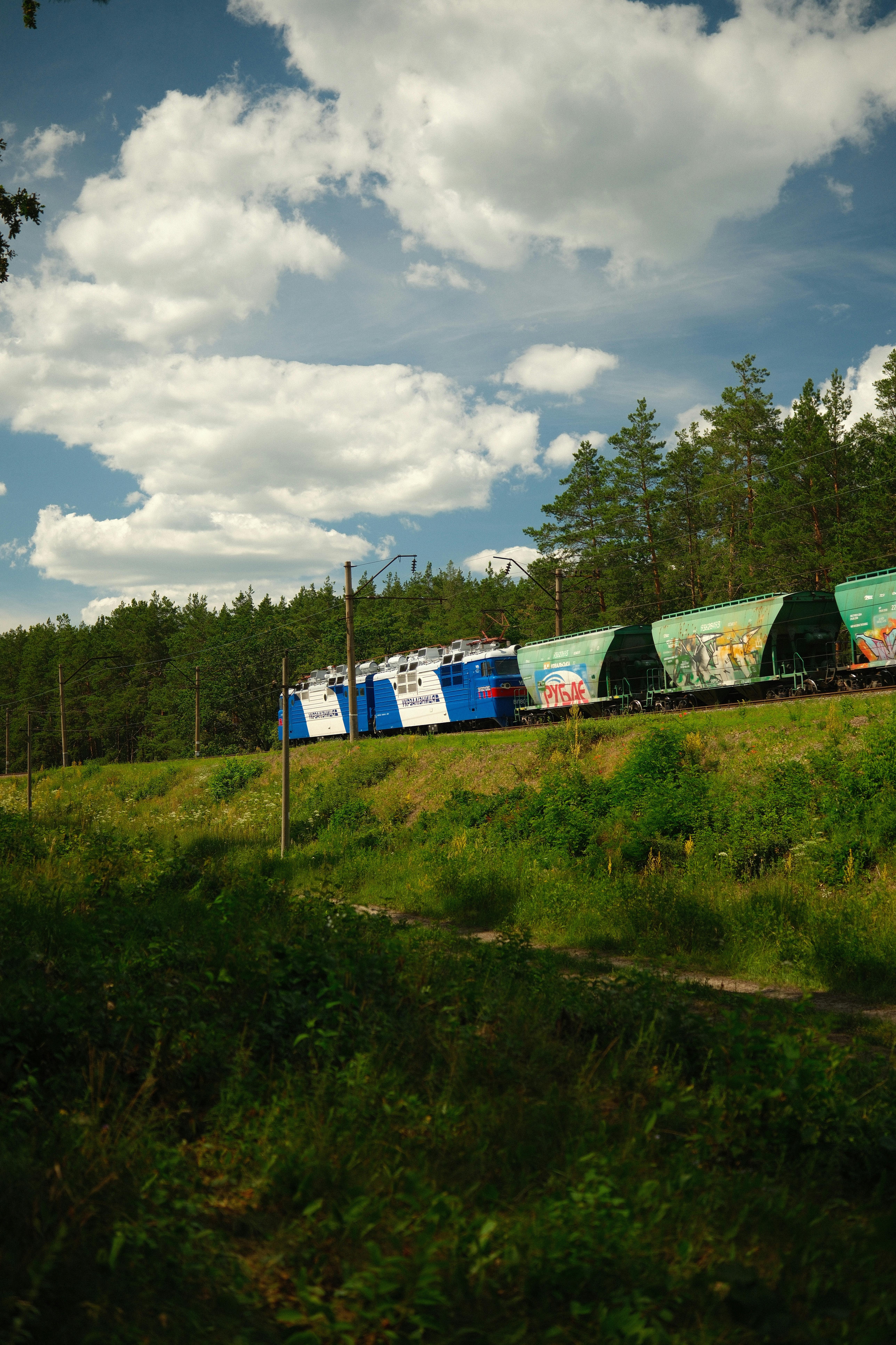Freight Train Passing Through Irpin Forest · Free Stock Photo