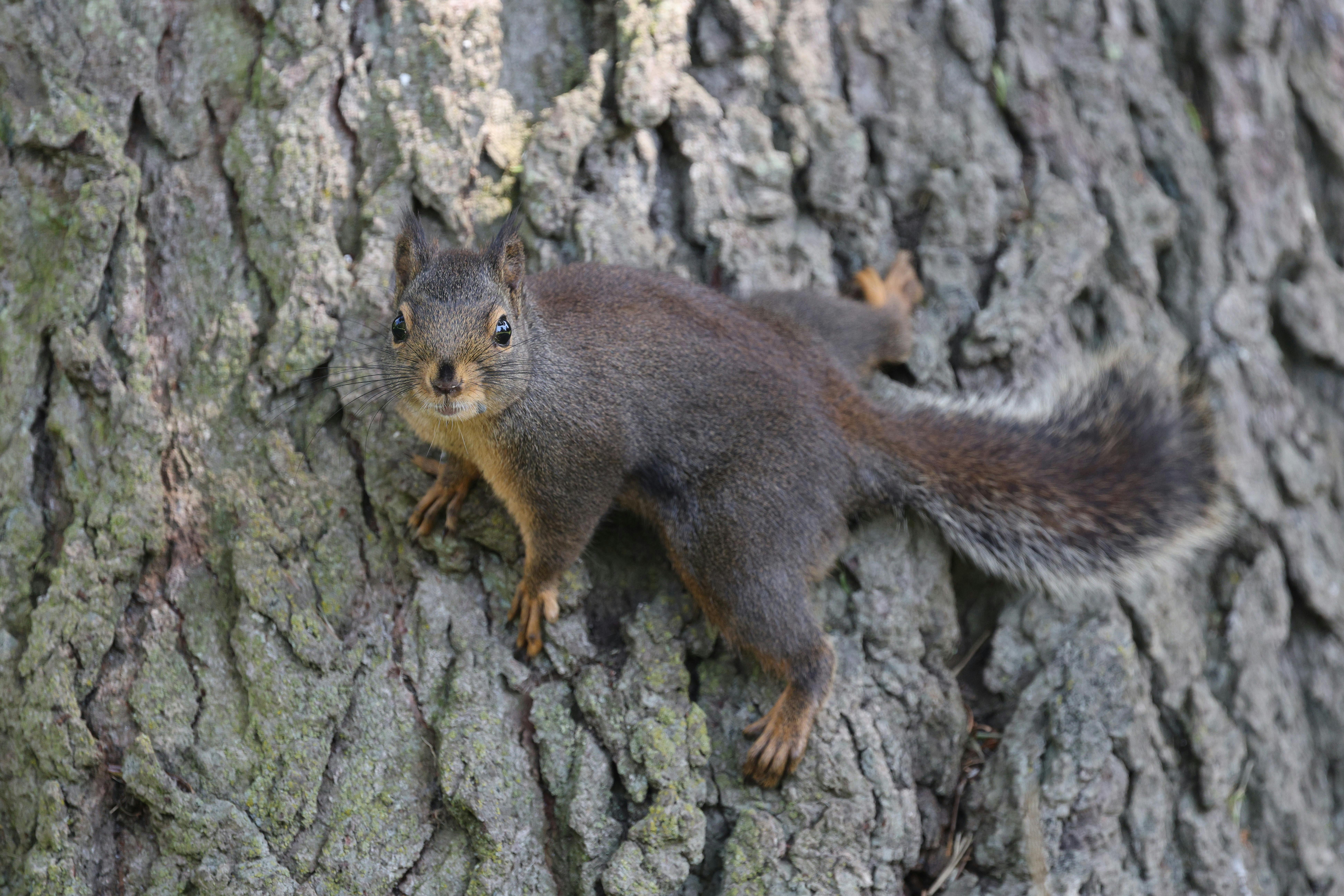 Quick Life Recap Photos, Download The BEST Free Quick Life Recap Stock ...