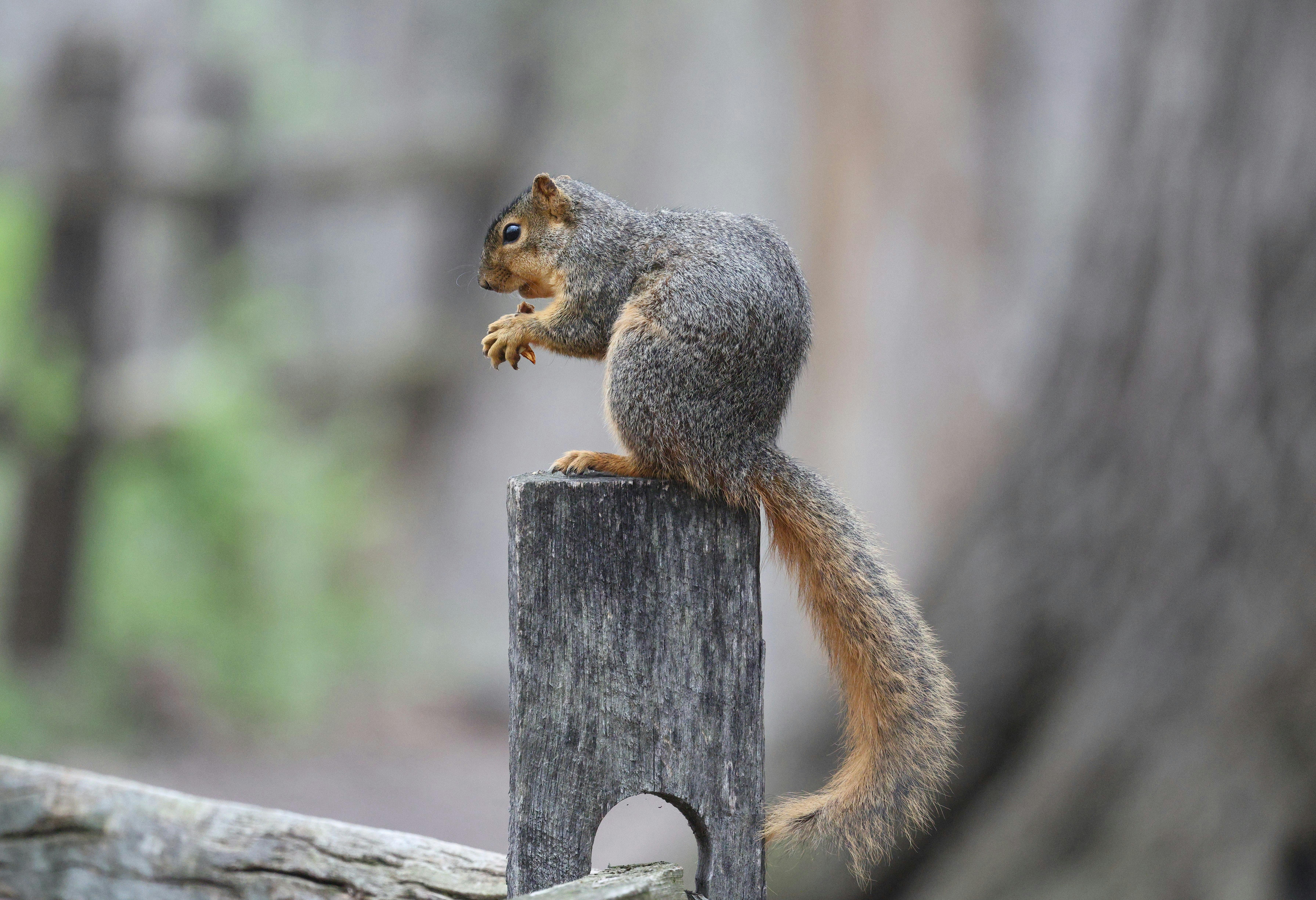 Number Nut Photos, Download The BEST Free Number Nut Stock Photos & HD ...