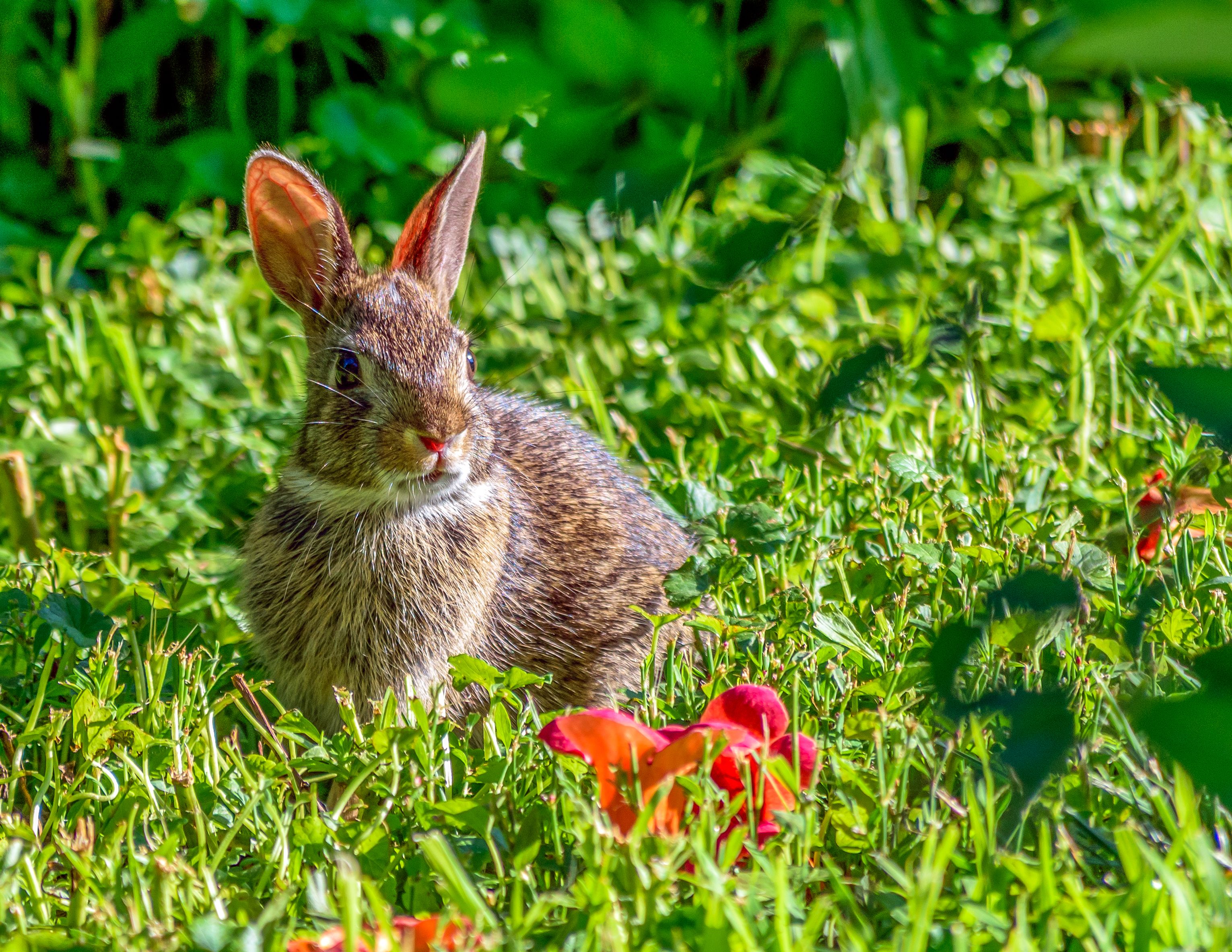 Very Cute Photos, Download The BEST Free Very Cute Stock Photos & HD Images