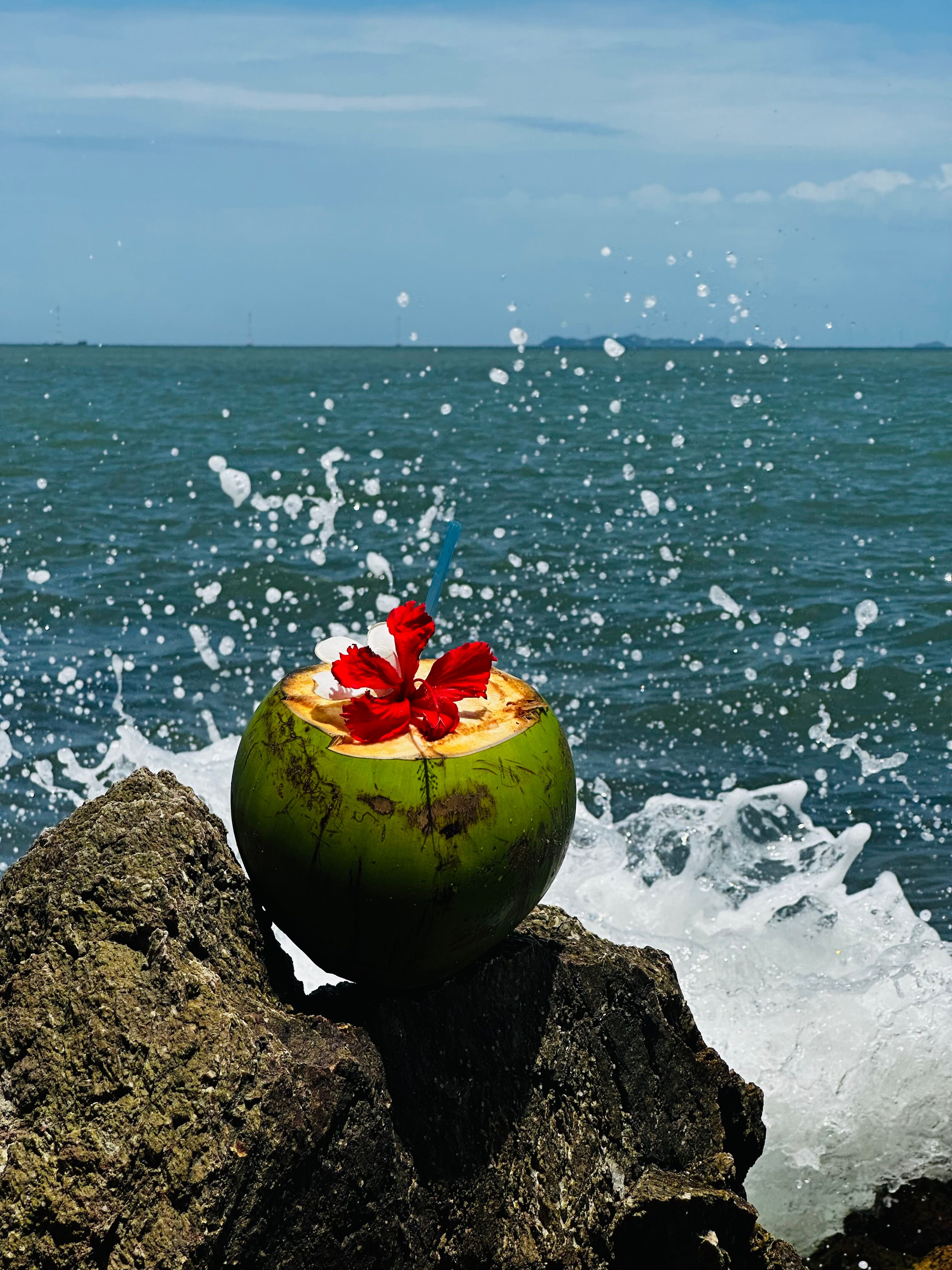 Refreshing Coconut Drink by Ocean Waves · Free Stock Photo