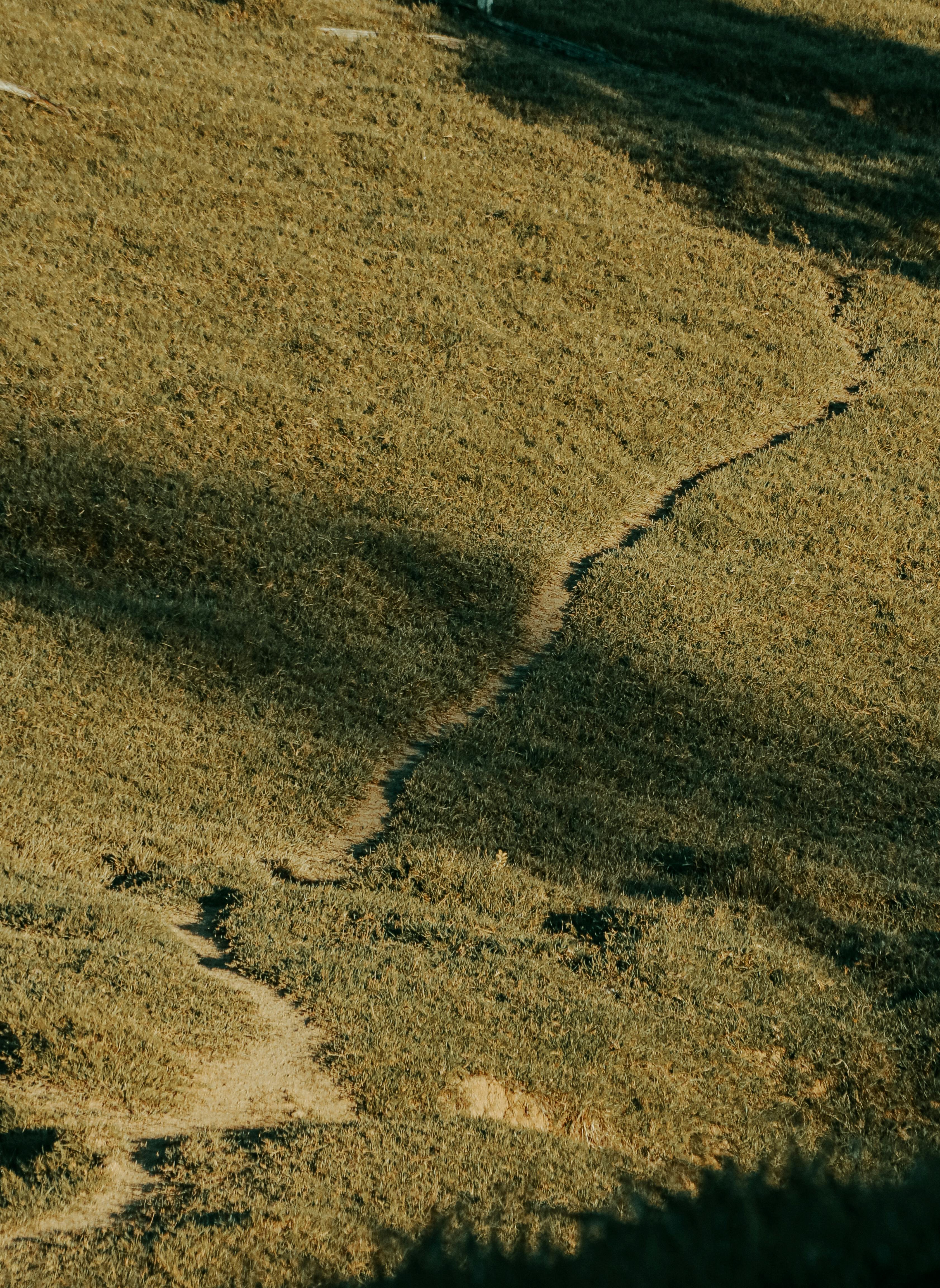 Serene Dry Grass Landscape with Shadows · Free Stock Photo